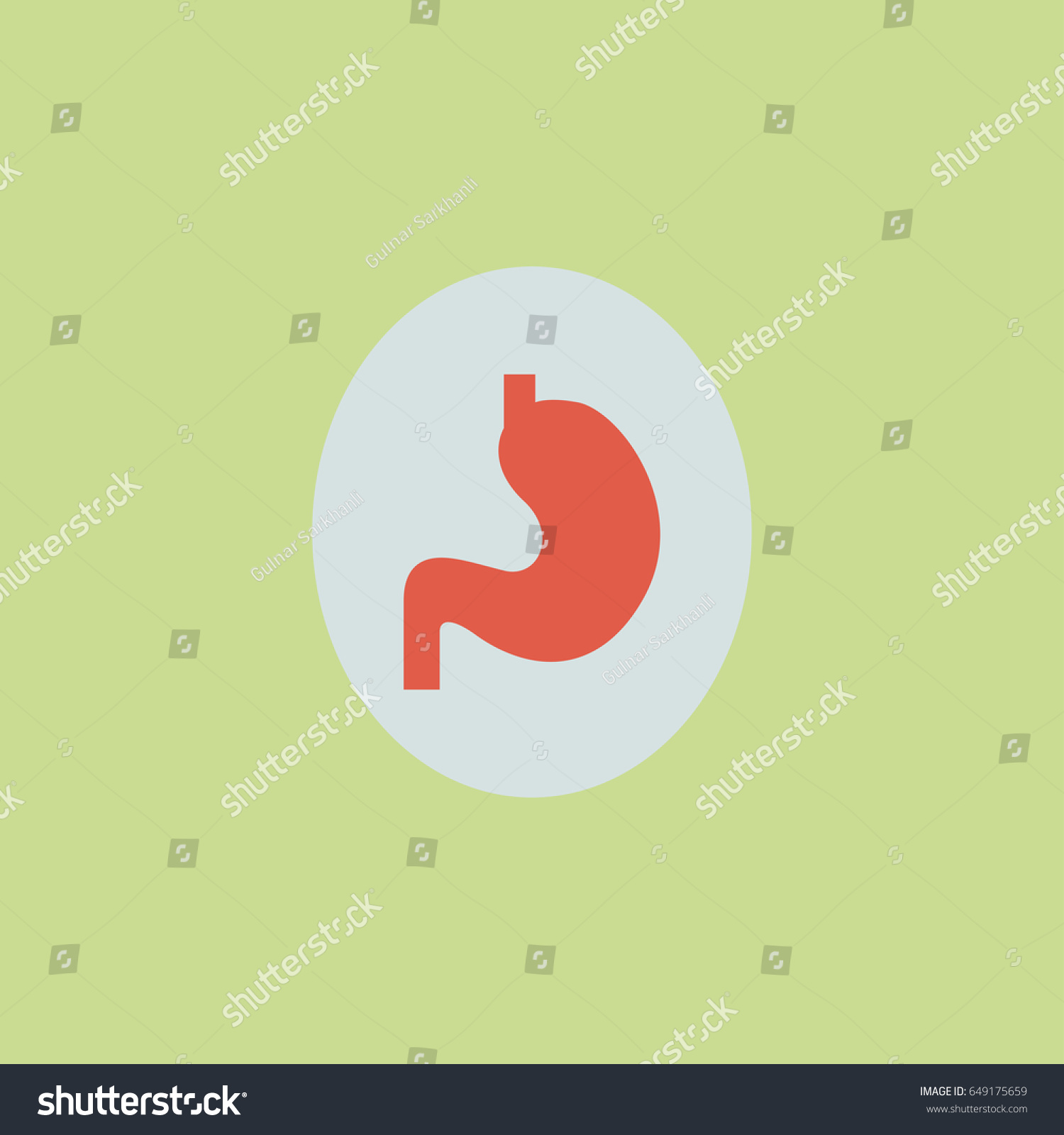 Stomach Icon Stock Vector (Royalty Free) 649175659 | Shutterstock