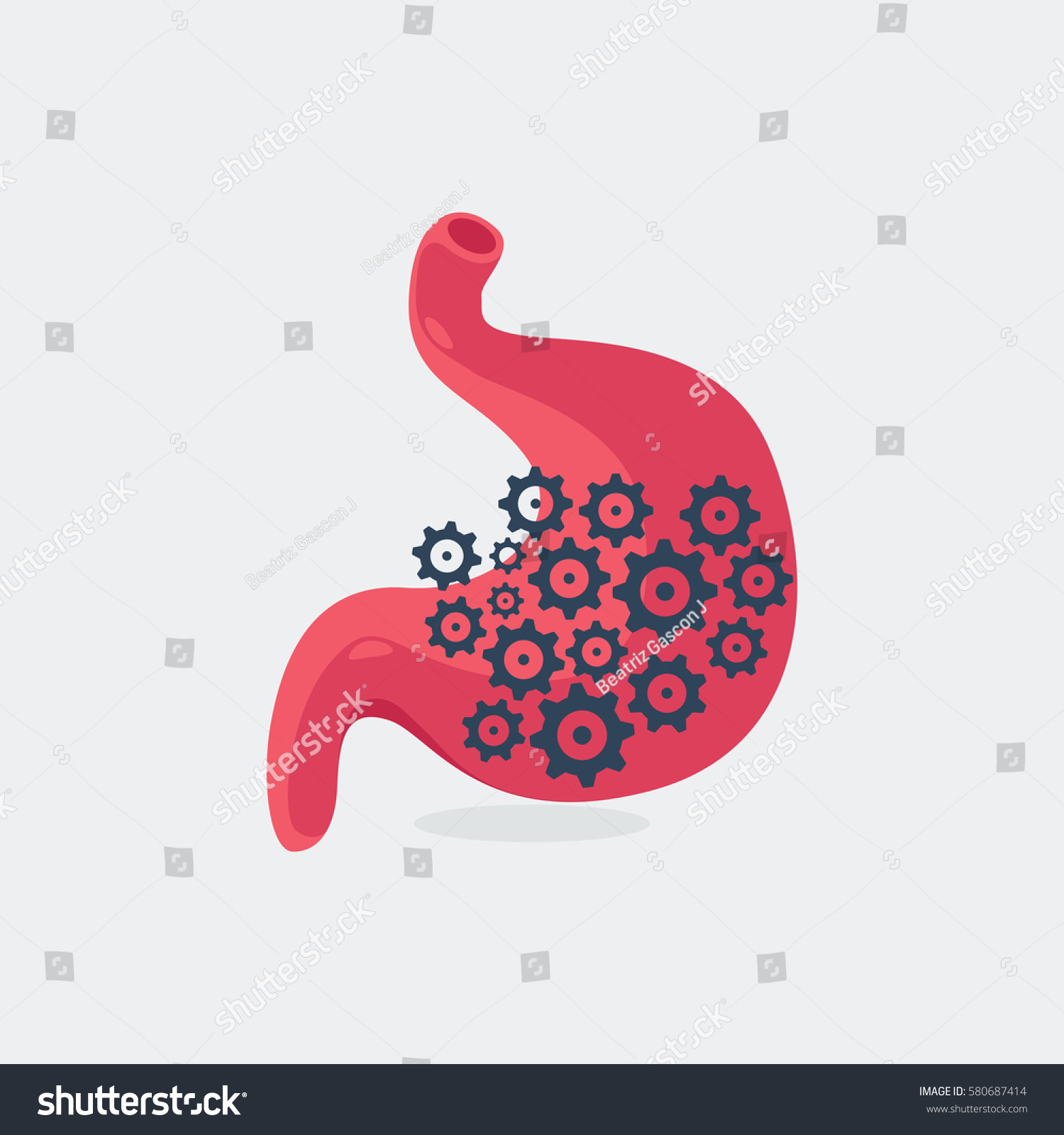 Stomach Vector Illustration Stock Vector (Royalty Free) 580687414