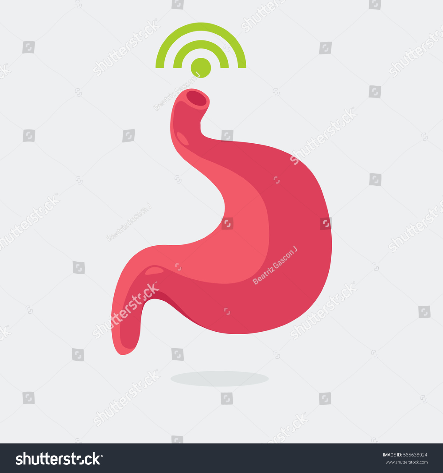Stomach Vector Illustration Stock Vector (Royalty Free) 585638024 ...