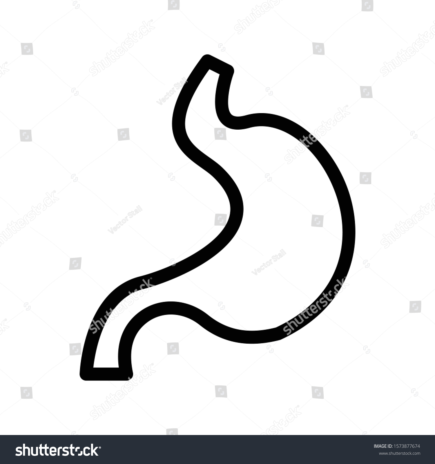 Stomach Vector Thin Line Icon Stock Vector (Royalty Free) 1573877674 ...