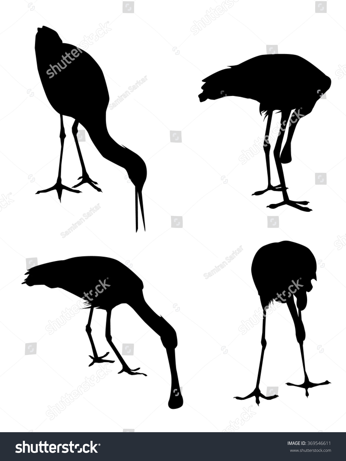 Stork Silhouette Set Vector Stock Vector (Royalty Free) 369546611 ...