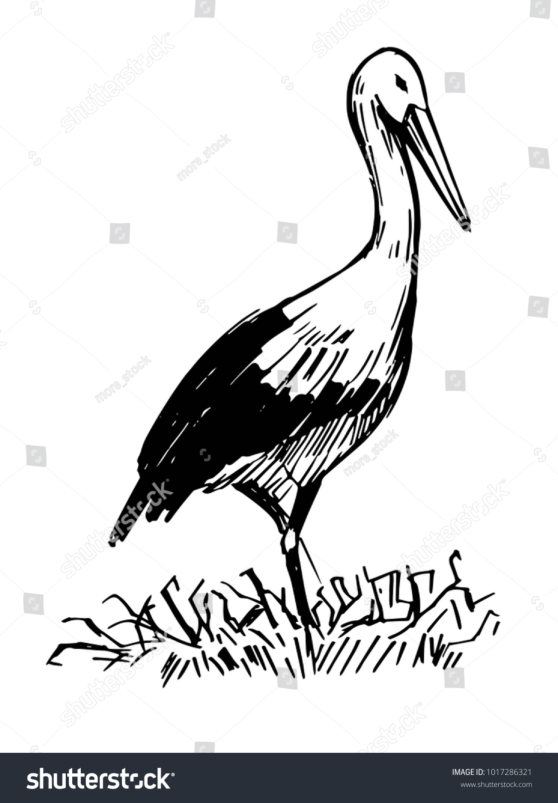 Stork Sketch Hand Drawn Illustration Converted: vetor stock (livre de ...