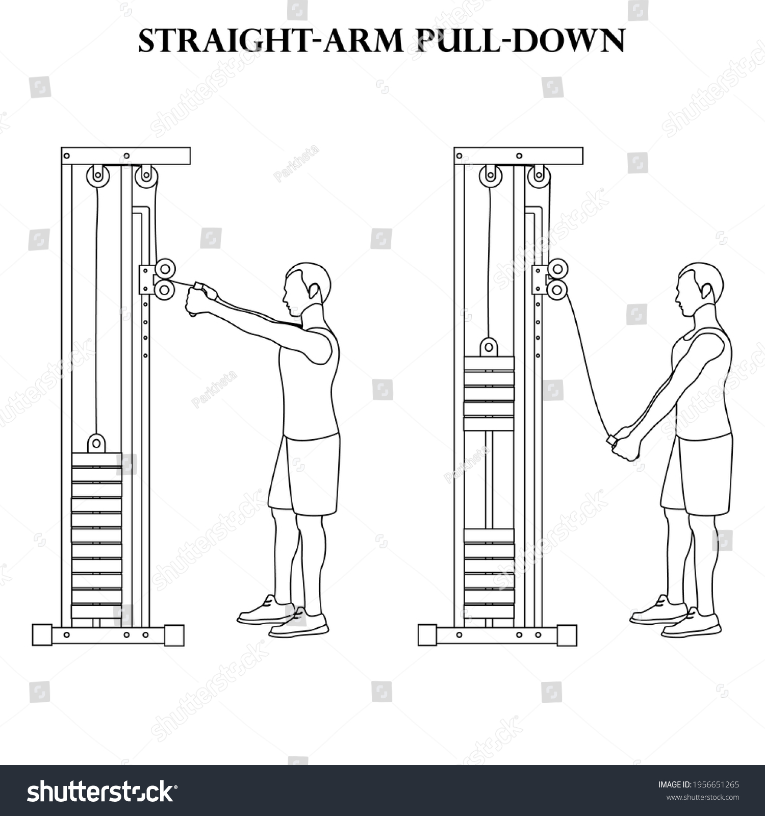 Straightarm Pulldown Exercise Workout Vector Illustration Stock Vector ...