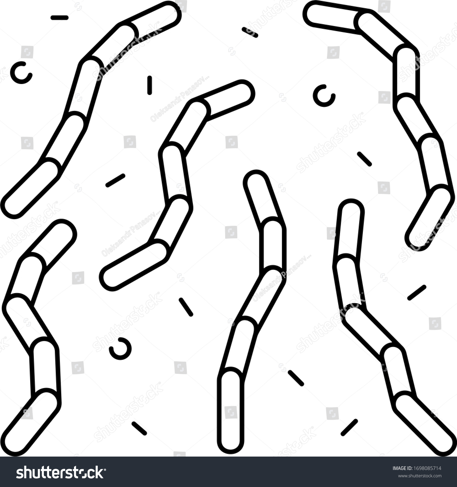 Streptobacillus Bacteria Vector Outline Icon Stock Vector (Royalty Free ...