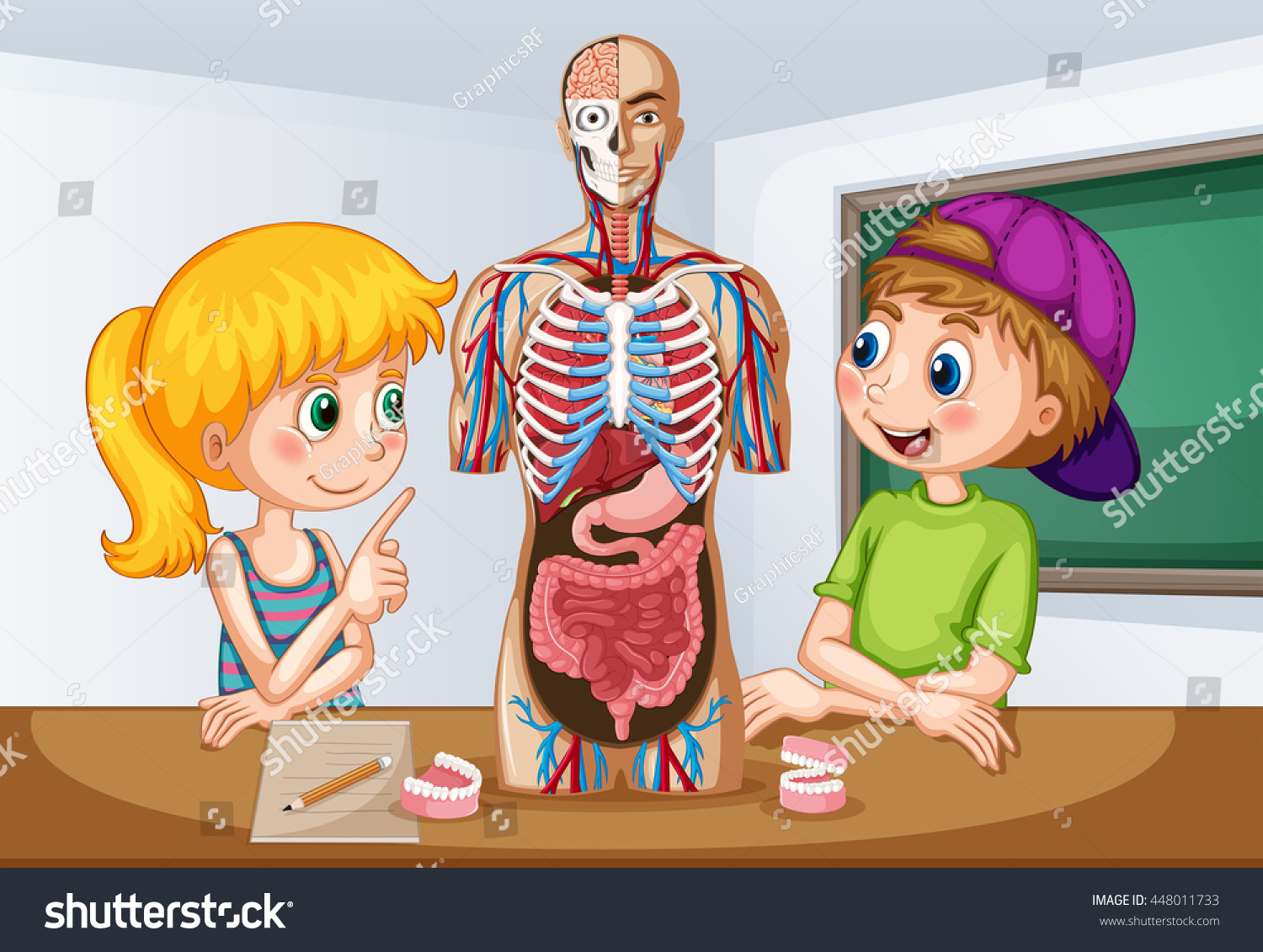 Students Learning About Human Anatomy Illustration Stock Vector ...