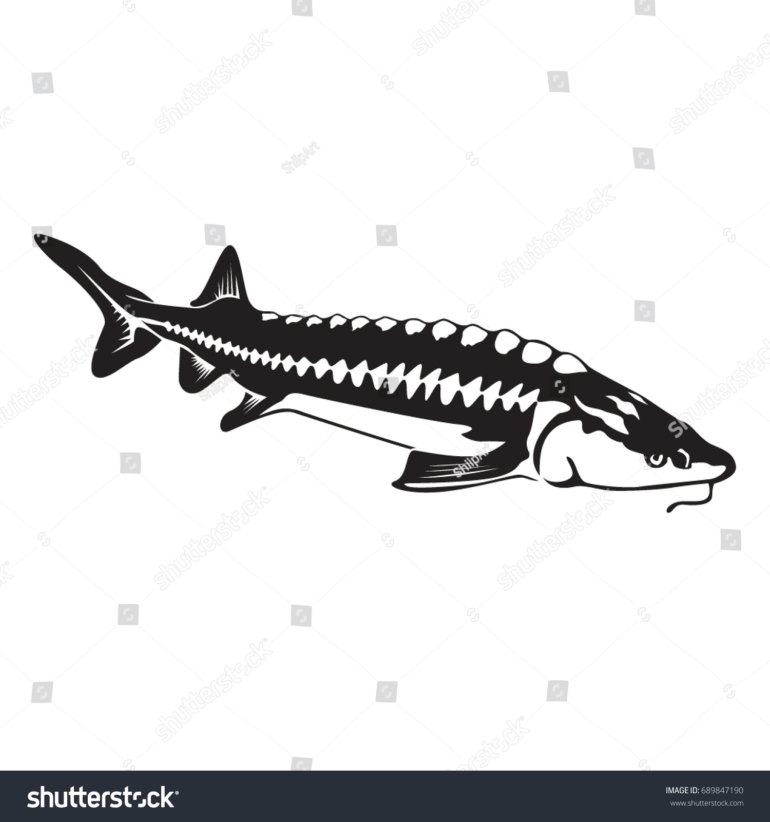 Sturgeon Art Stock Vector (Royalty Free) 689847190 | Shutterstock
