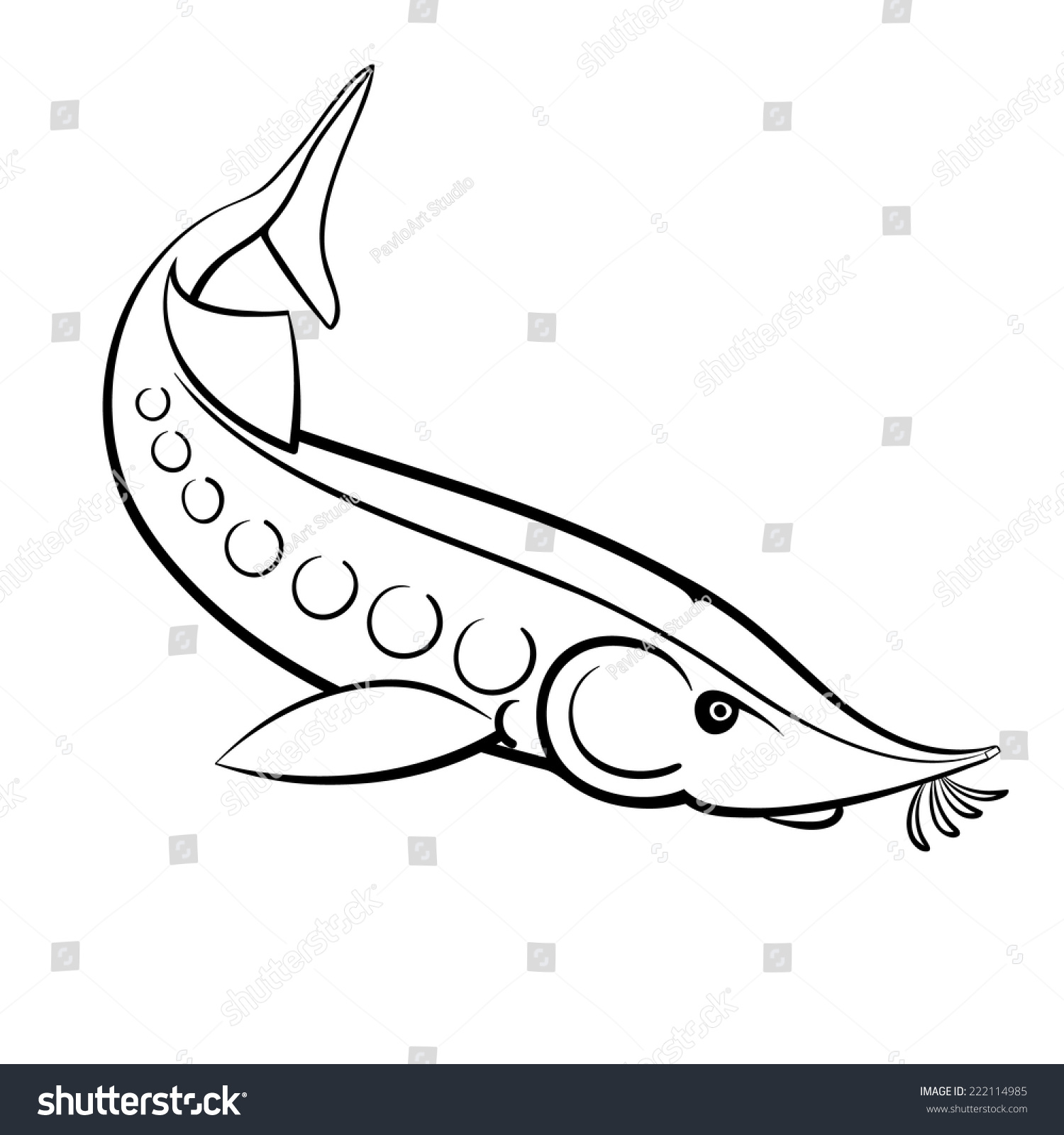 Sturgeon Fish Outline Vector Illustration Stock Vector (Royalty Free ...