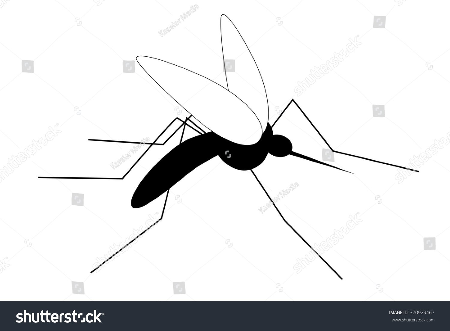 Stylized Gnat On White Background Stock Vector (Royalty Free) 370929467 ...