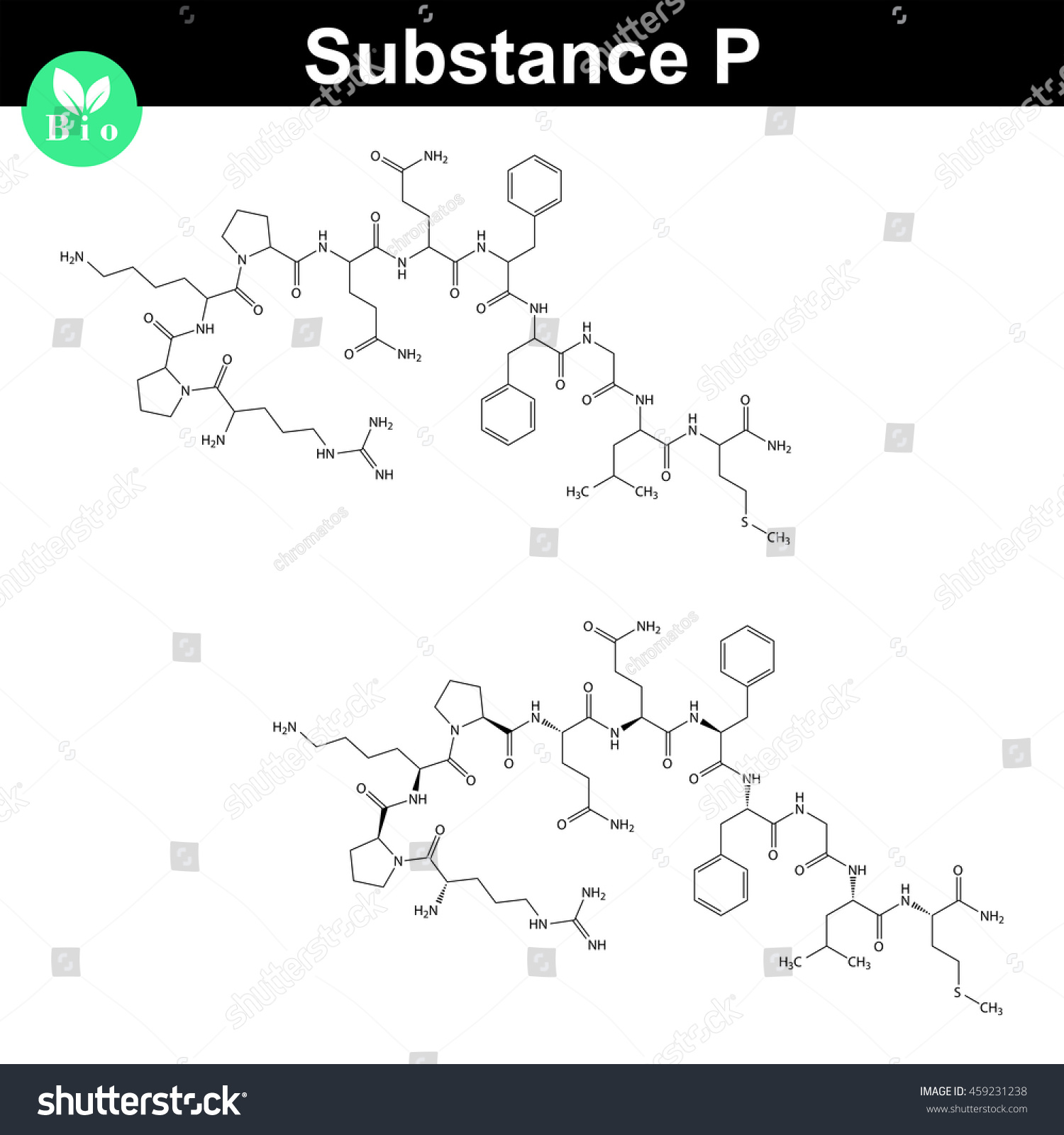 Substance P Molecular Structure 2d Illustration Stock Vector (Royalty ...