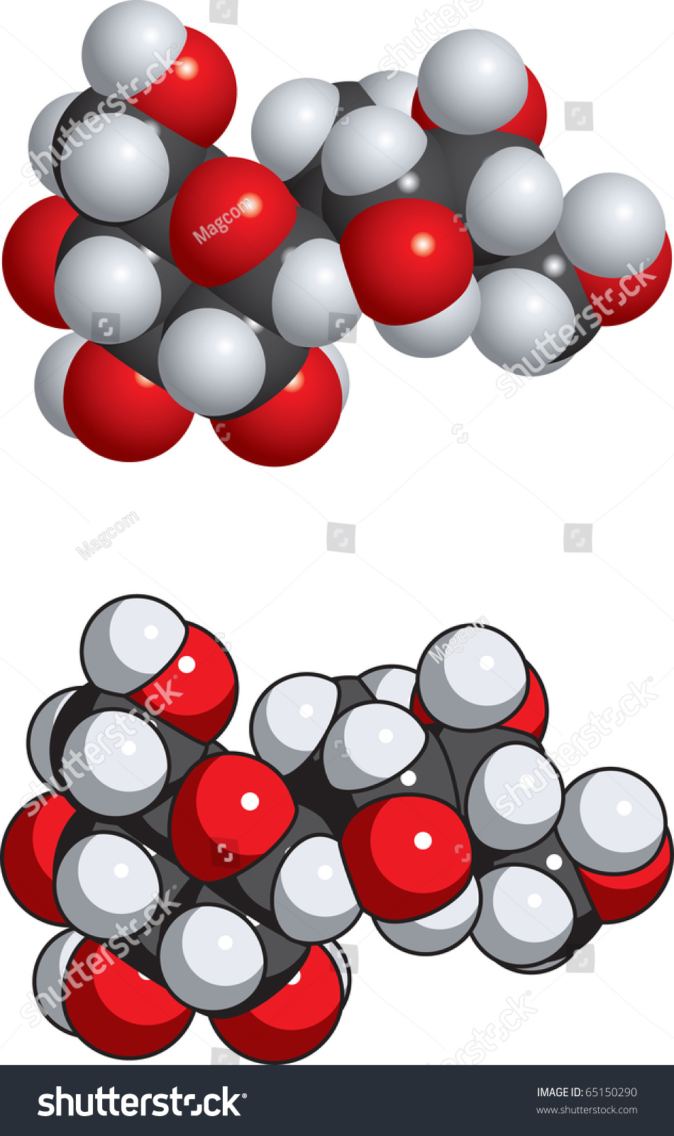 Sucrose Molecule Stock Vector (Royalty Free) 65150290 | Shutterstock
