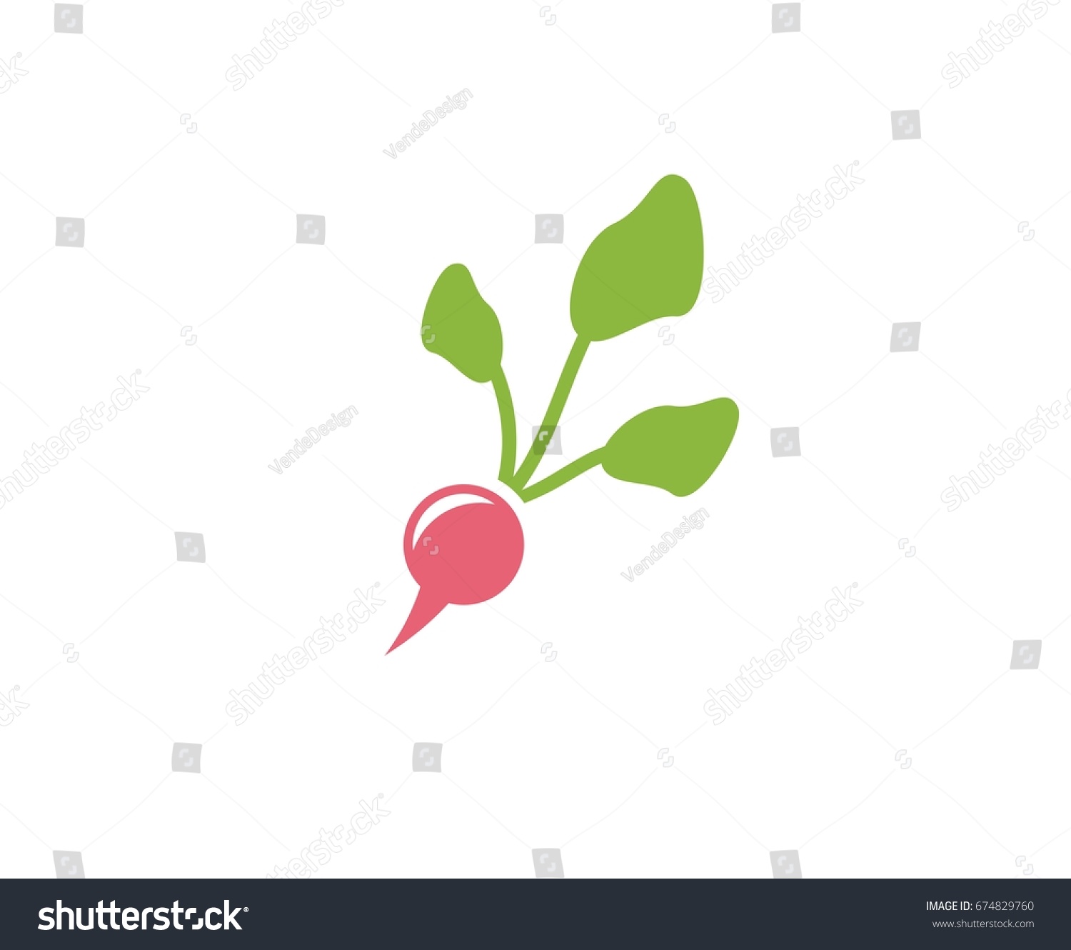 Sugar Beet Design Stock Vector (Royalty Free) 674829760