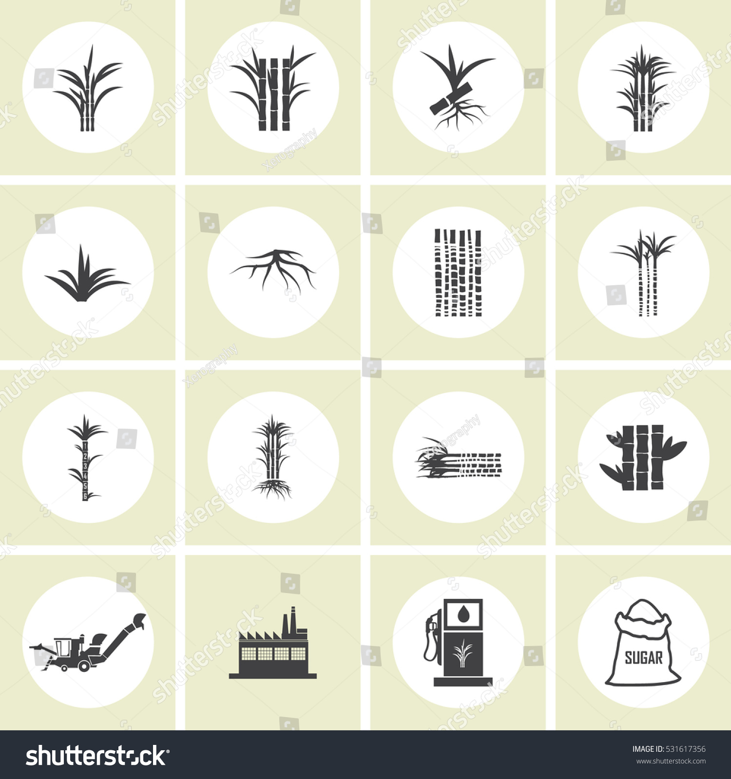 Sugar Cane Icons Vector Stock Vector (Royalty Free) 531617356 ...