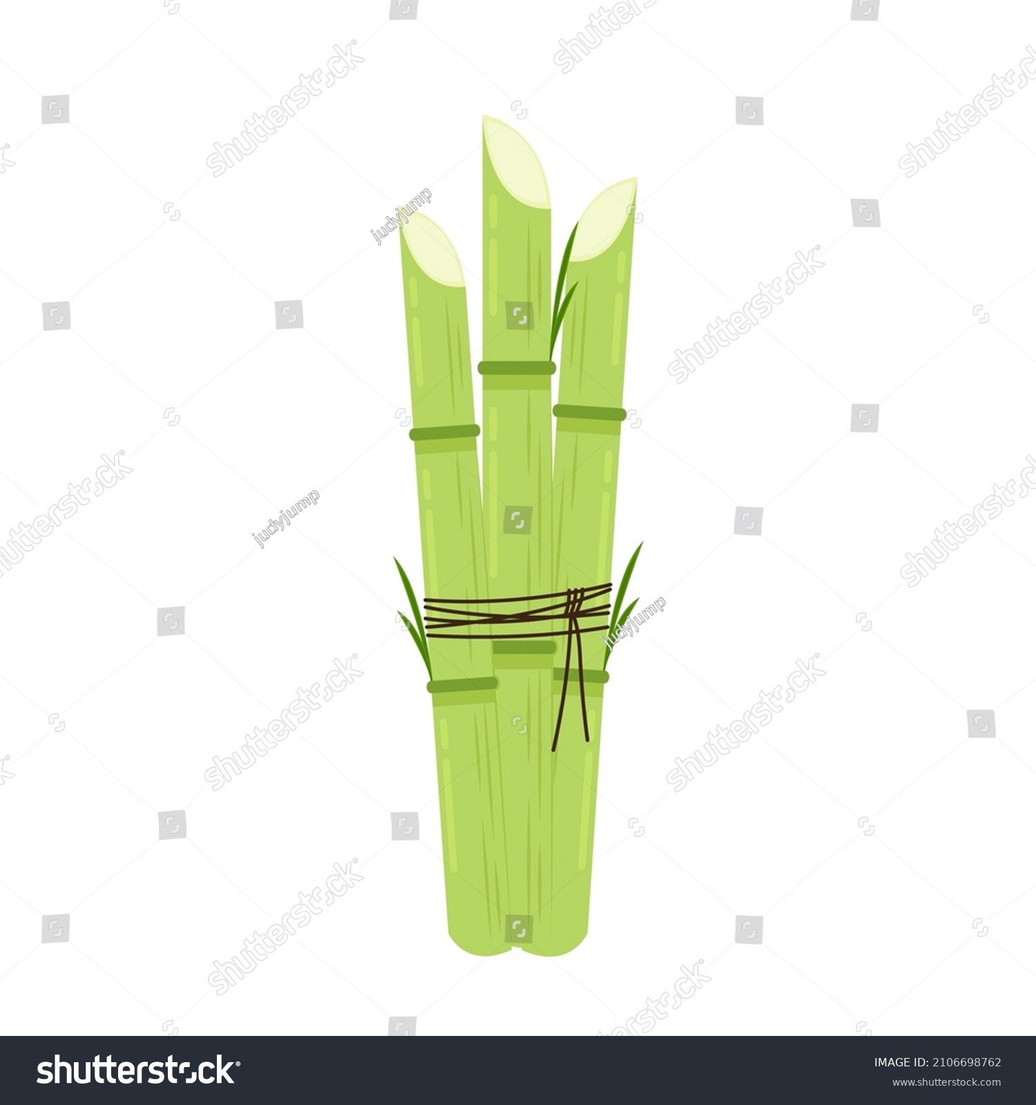 Sugar Cane Vector Sugar Cane On Stock Vector (Royalty Free) 2106698762