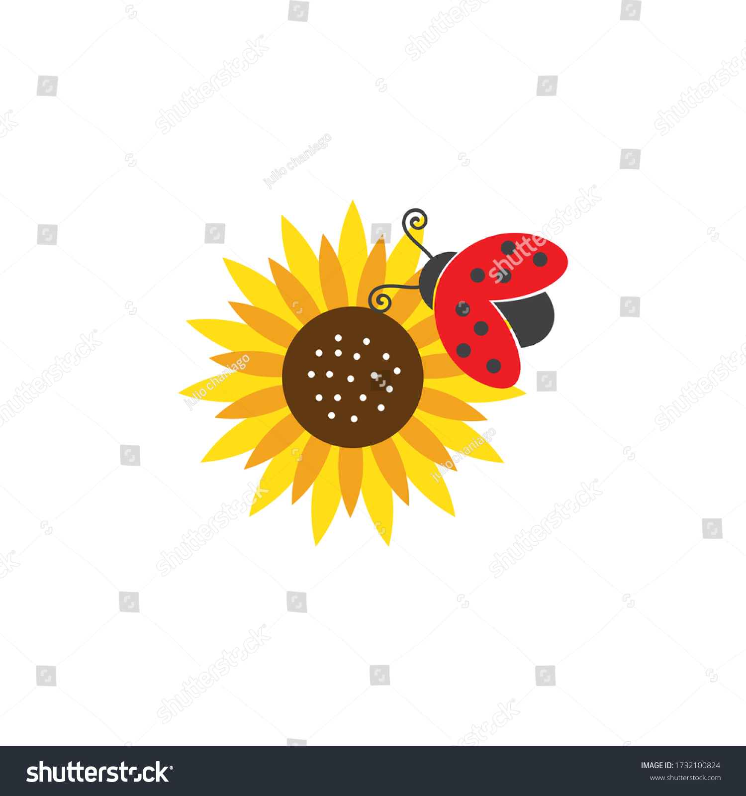 576 Lady bug on sunflower Images, Stock Photos & Vectors | Shutterstock