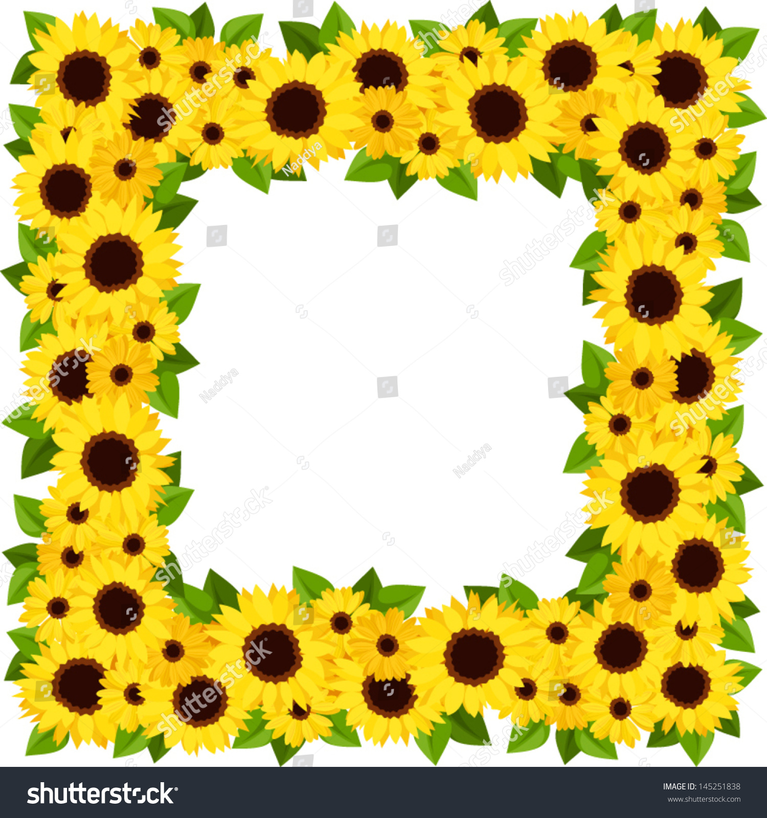 Sunflowers Frame Vector Illustration: เวกเตอร์สต็อก (ปลอดค่าลิขสิทธิ์ ...