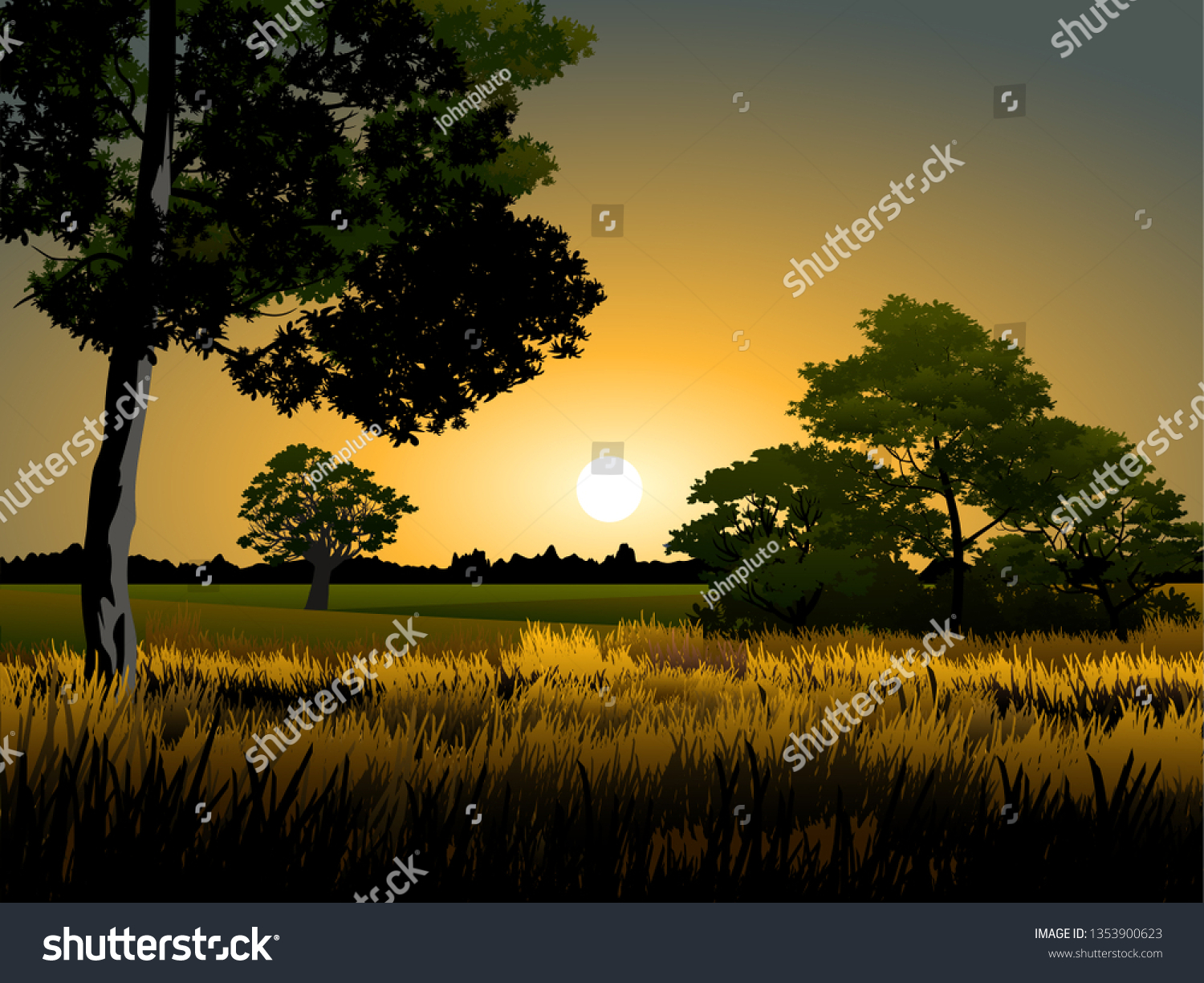 Sunset Grass Field Vector Illustration Stock Vector (Royalty Free ...