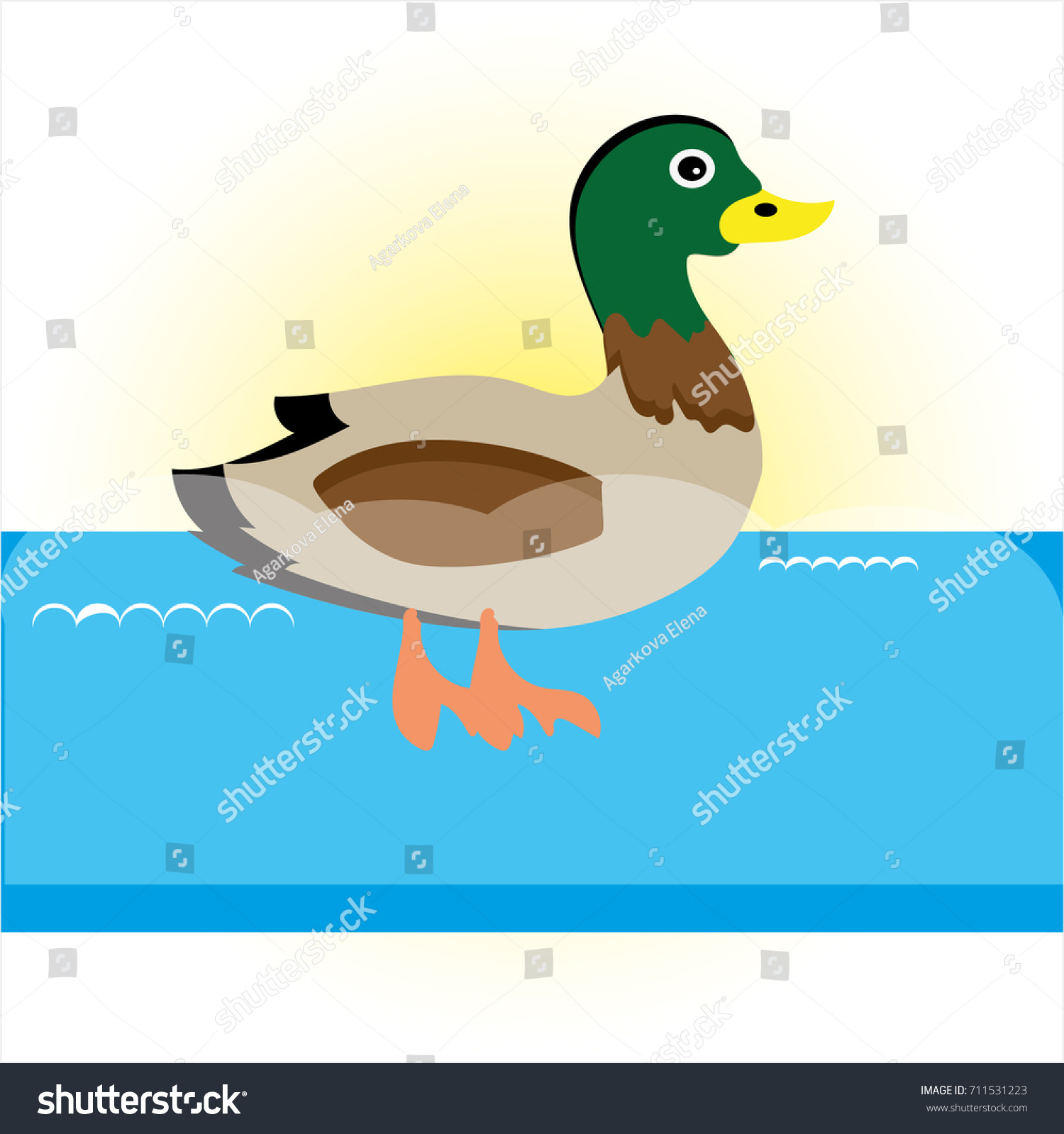 Swimming Duck Stock Vector (Royalty Free) 711531223 | Shutterstock