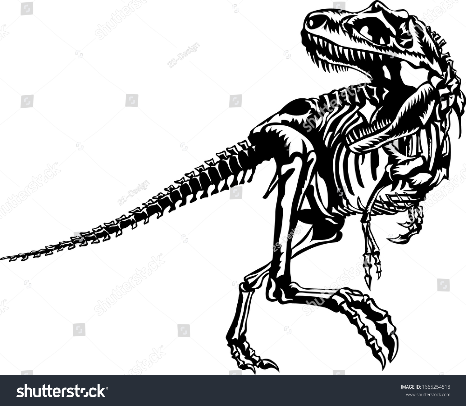 Trex Dinosaur Skeleton Illustration Vector: vetor stock (livre de ...