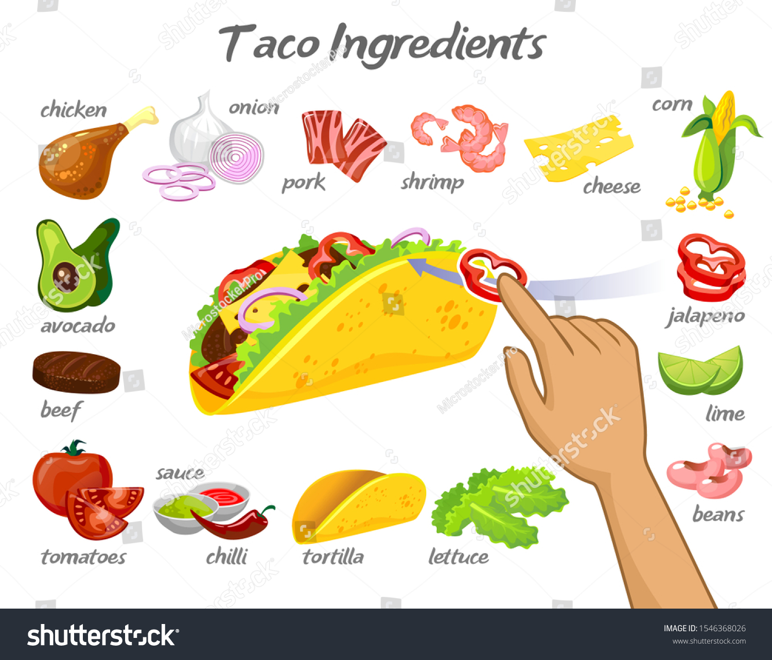 Taco Different Ingredients Vector Illustration Poster Stock Vector ...