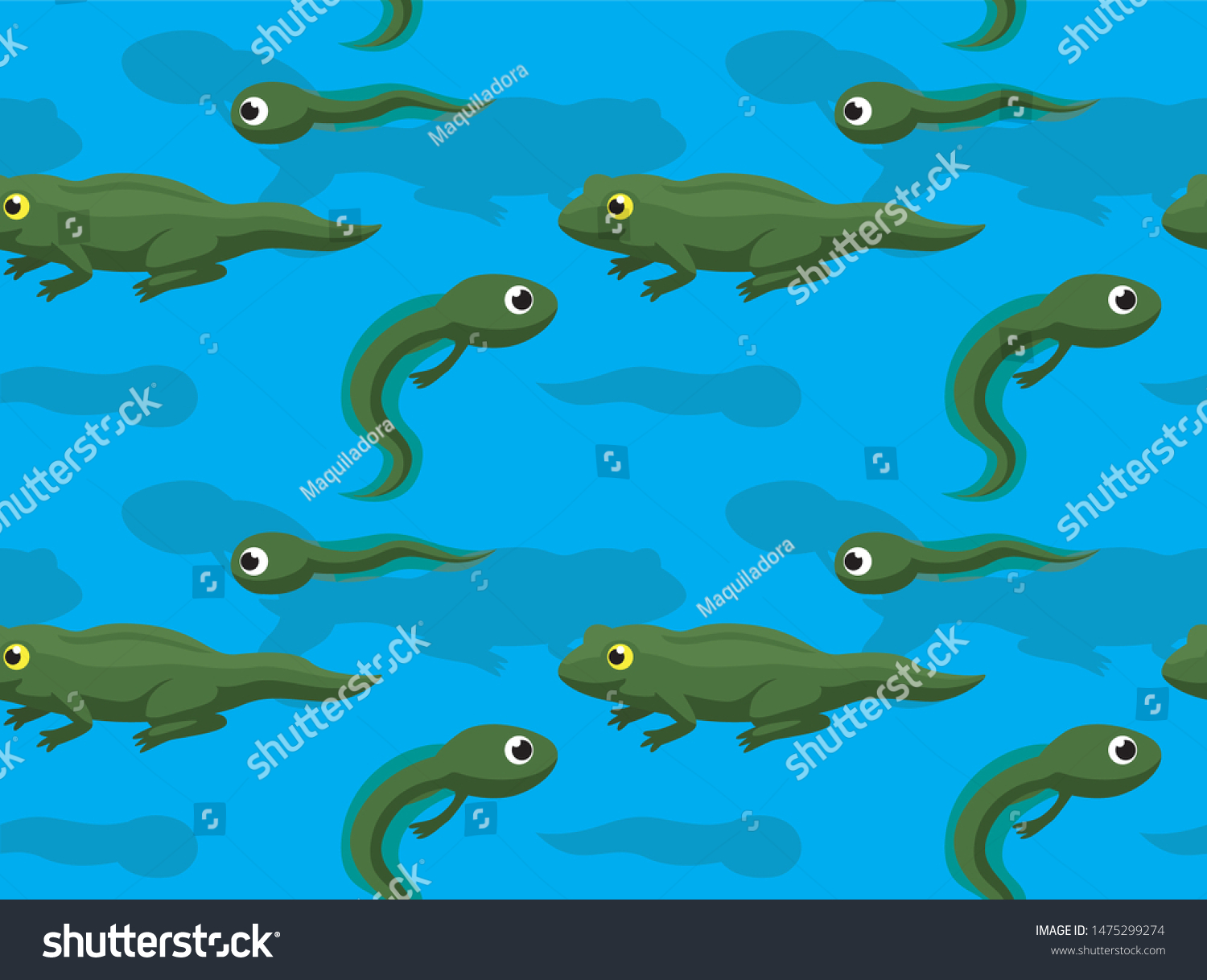 874 Tadpole legs Images, Stock Photos & Vectors | Shutterstock