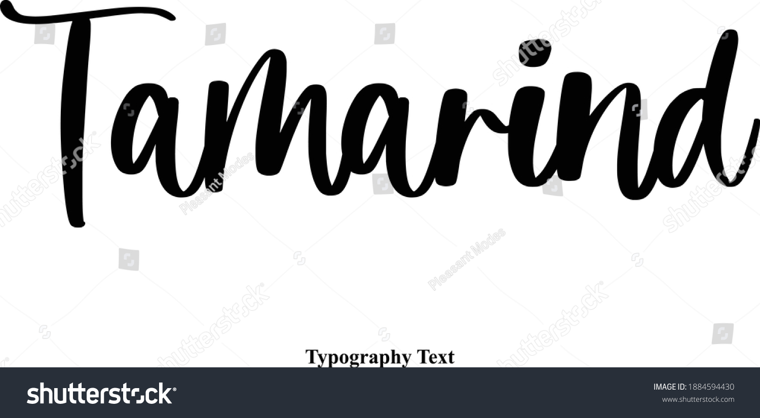 Tamarind Beautiful Cursive Typography Text Quote Stock Vector (Royalty ...