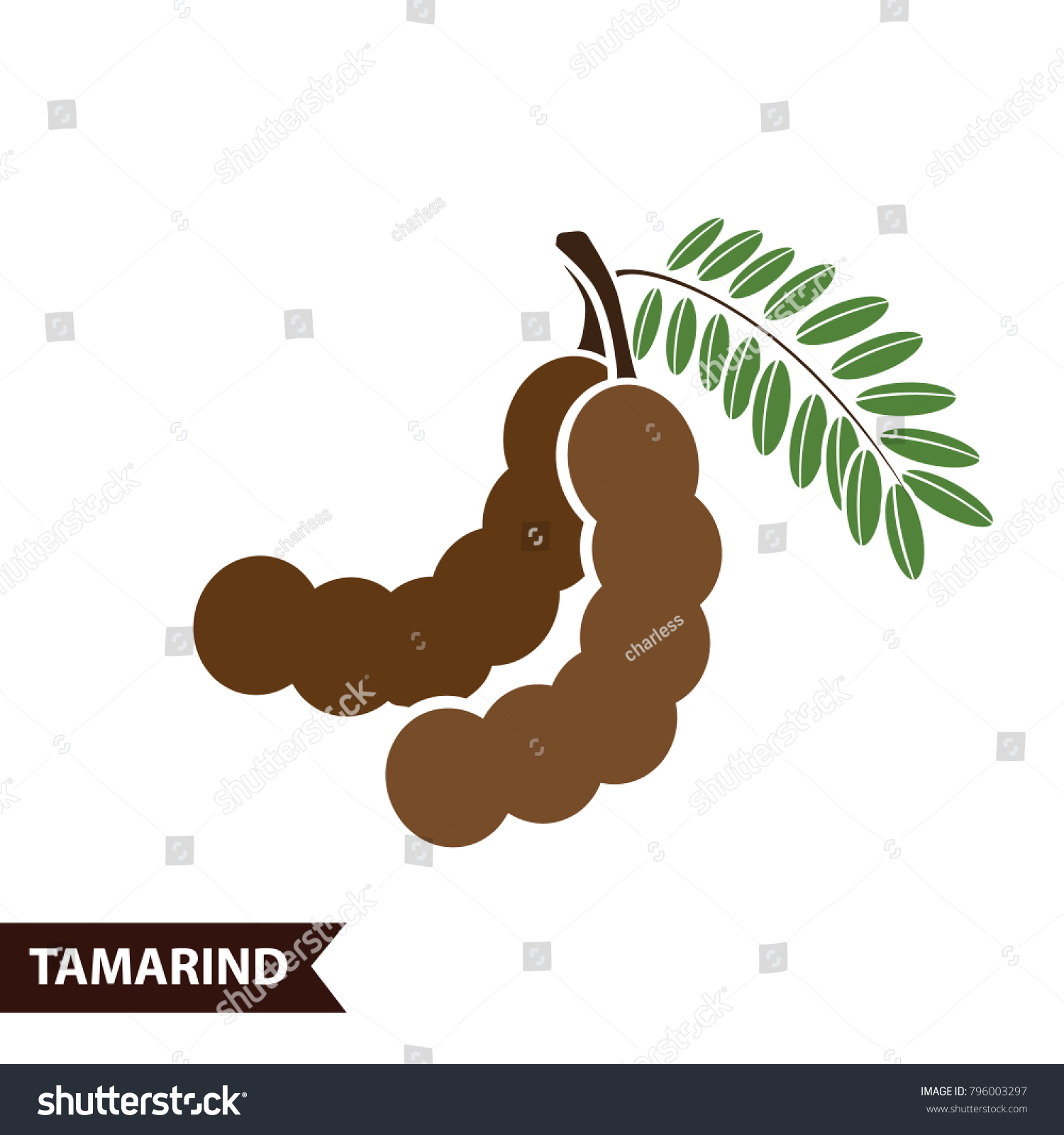 Tamarind Icon Vector Illustration Stock Vector (Royalty Free) 796003297