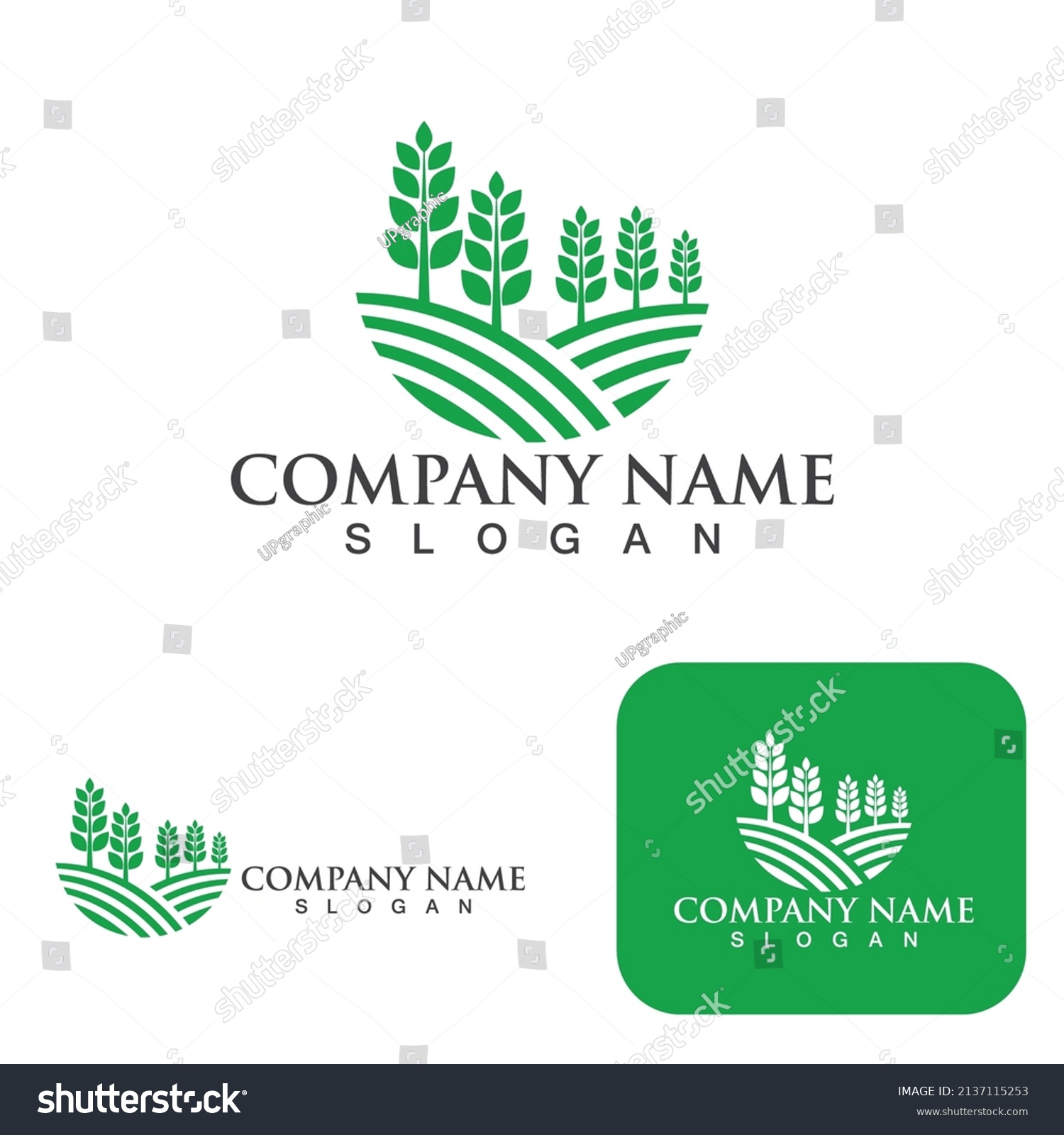 Tea Garden Logo Symbol Vector Stock Vector (Royalty Free) 2137115253 ...