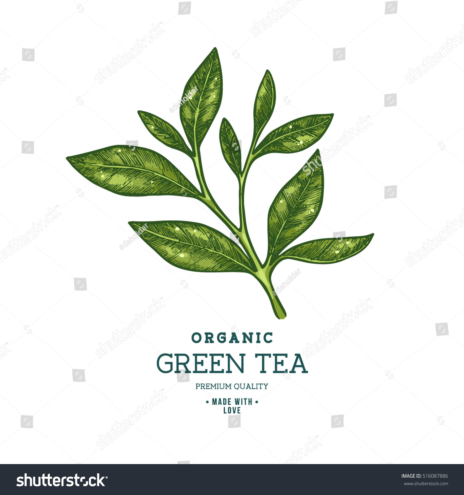 Tea Leaf Design Template Engraved Leaf 스톡 벡터(사용료 없음) 516087886 ...