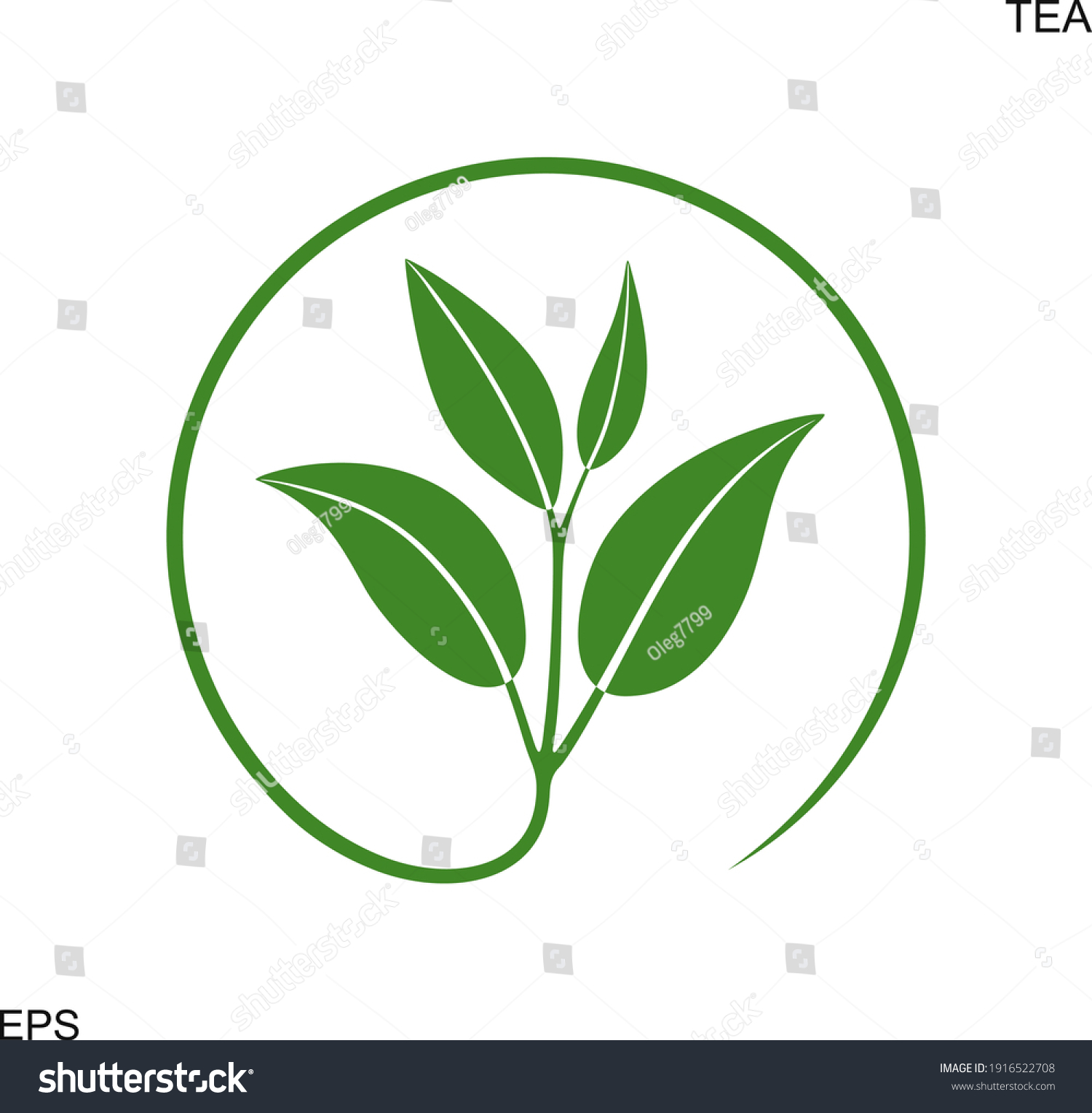 Logo del té. Té aislado sobre: vector de stock (libre de regalías ...