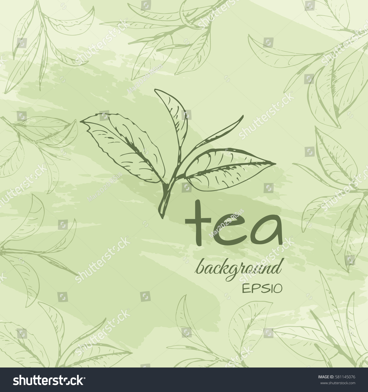 Tea Logo Vector Background Painted Leaves Stock Vector (Royalty Free ...
