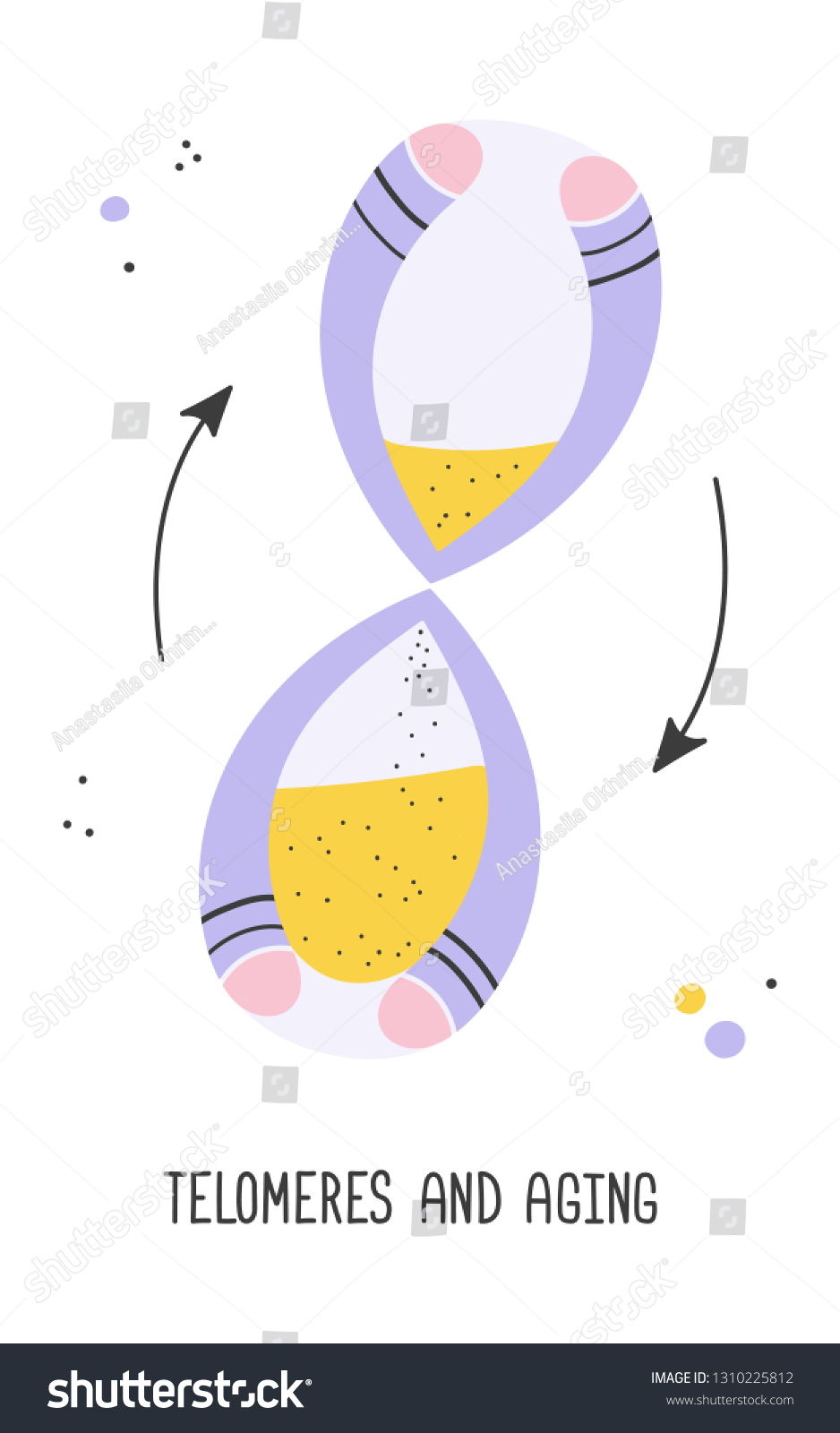 Telomeres Aging Process Vector Illustration: เวกเตอร์สต็อก (ปลอดค่า ...