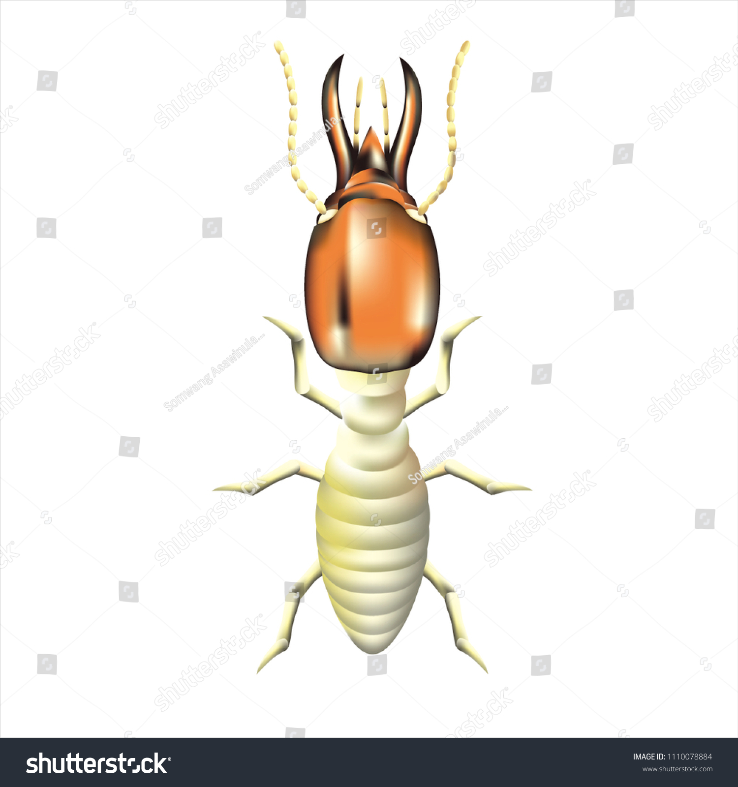 Termite Big Head Isolated White Background: vector de stock (libre de ...