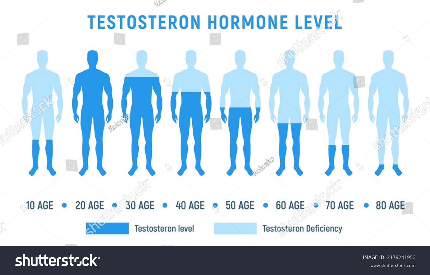 Testosterone Level Therapy Hormone Male Balance Stock Vector (Royalty ... Testosterone Level Therapy Hormone Male Balance Stock Vector (Royalty ...