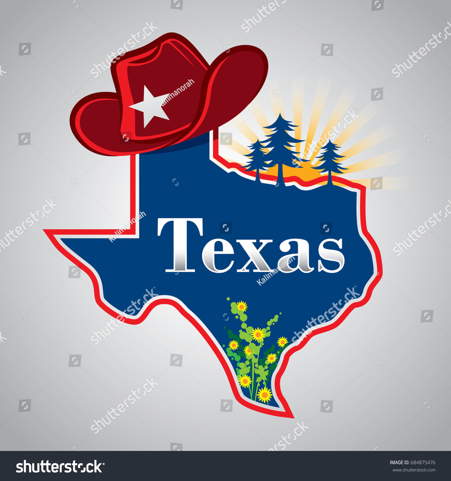 Texas Real Estate Logo 2 Stock Vector (Royalty Free) 684875476