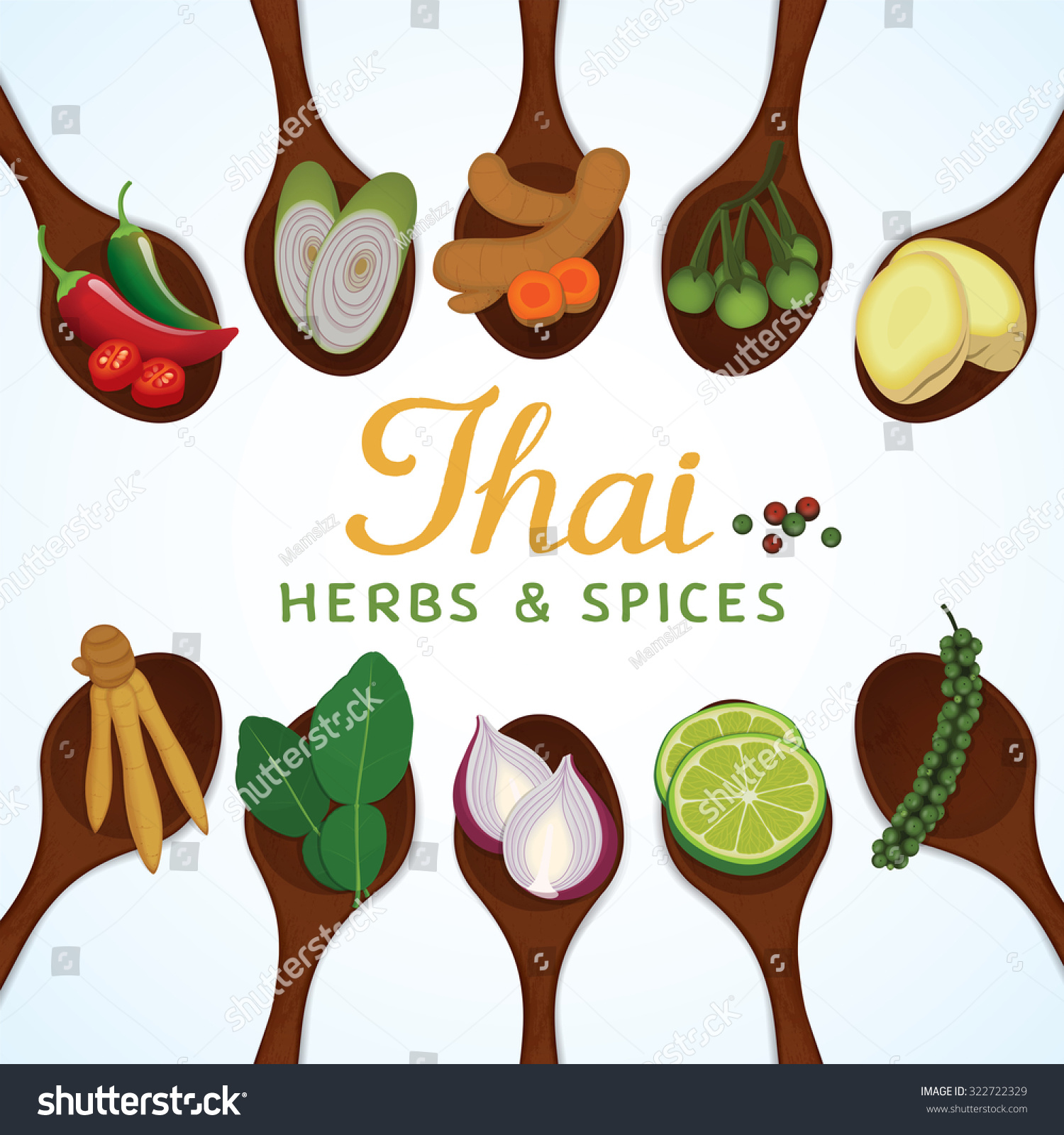 Thai Herbs Spices Stock Vector (Royalty Free) 322722329