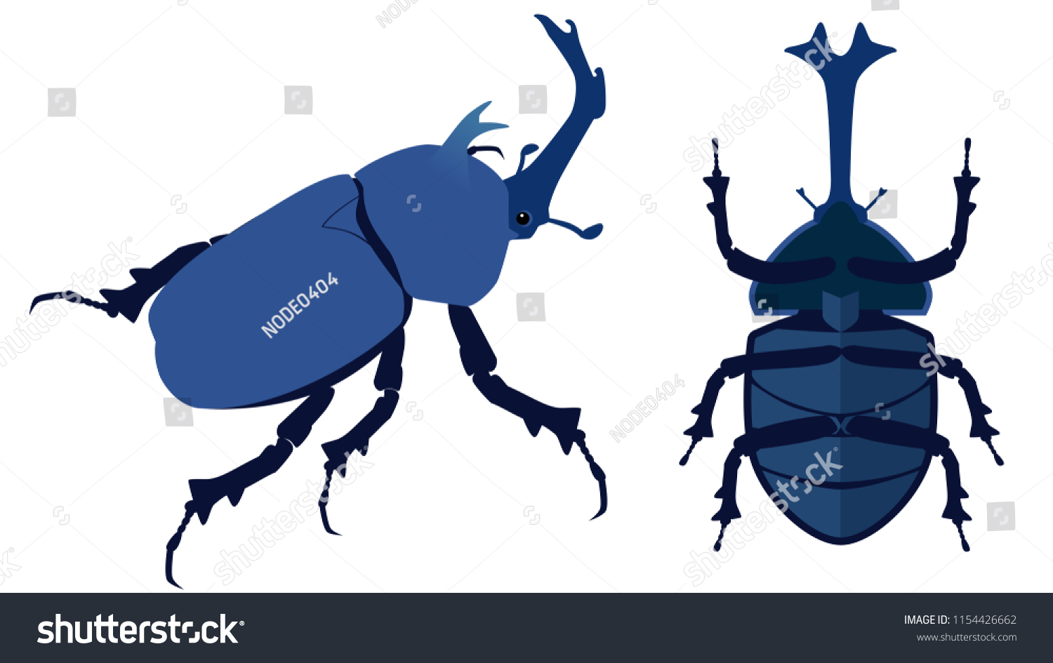 Basic Beetles Vector On White Background: vector de stock (libre de ...