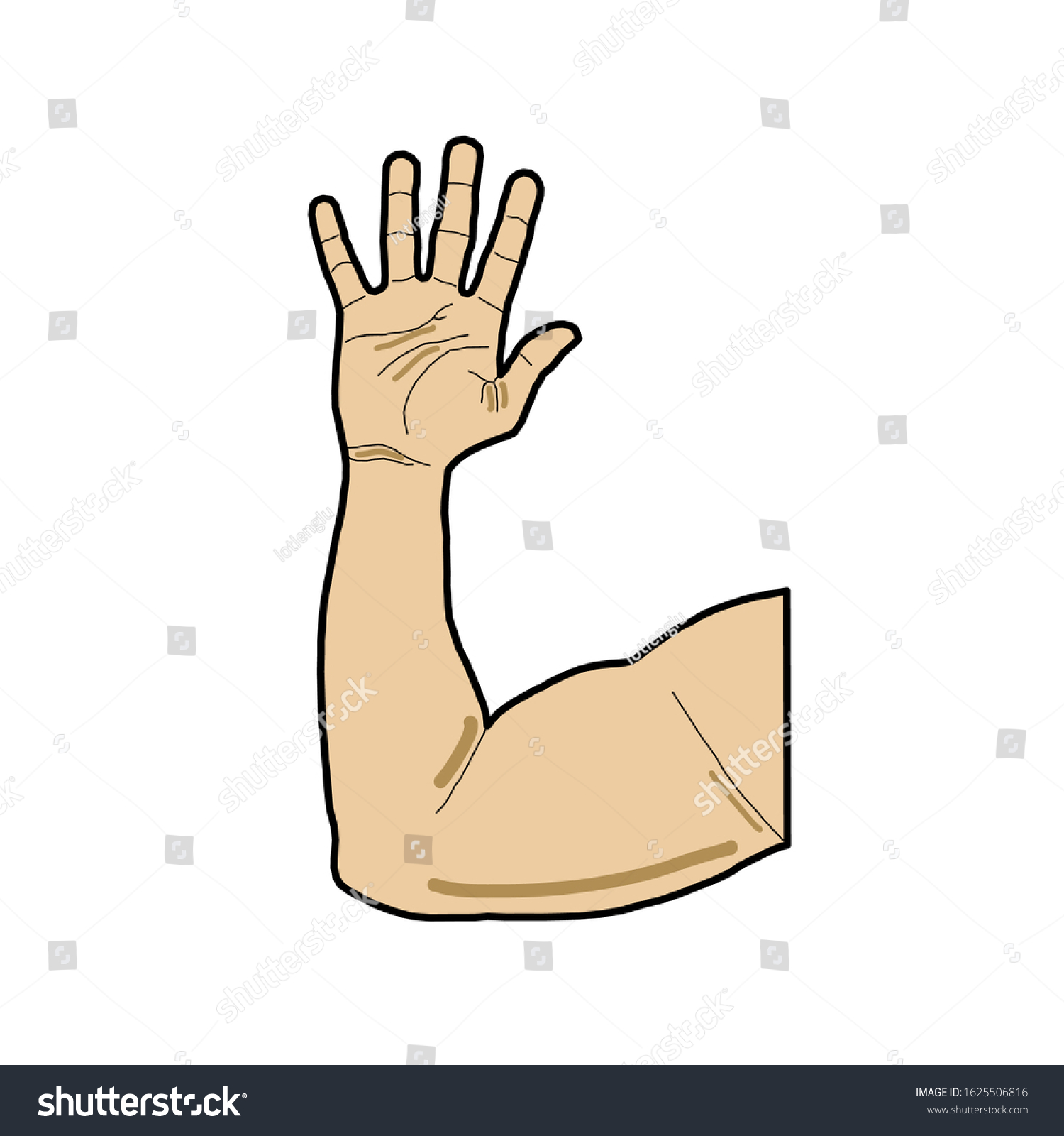 Beautiful Pattern Arm Muscles Stock Vector (Royalty Free) 1625506816 ...