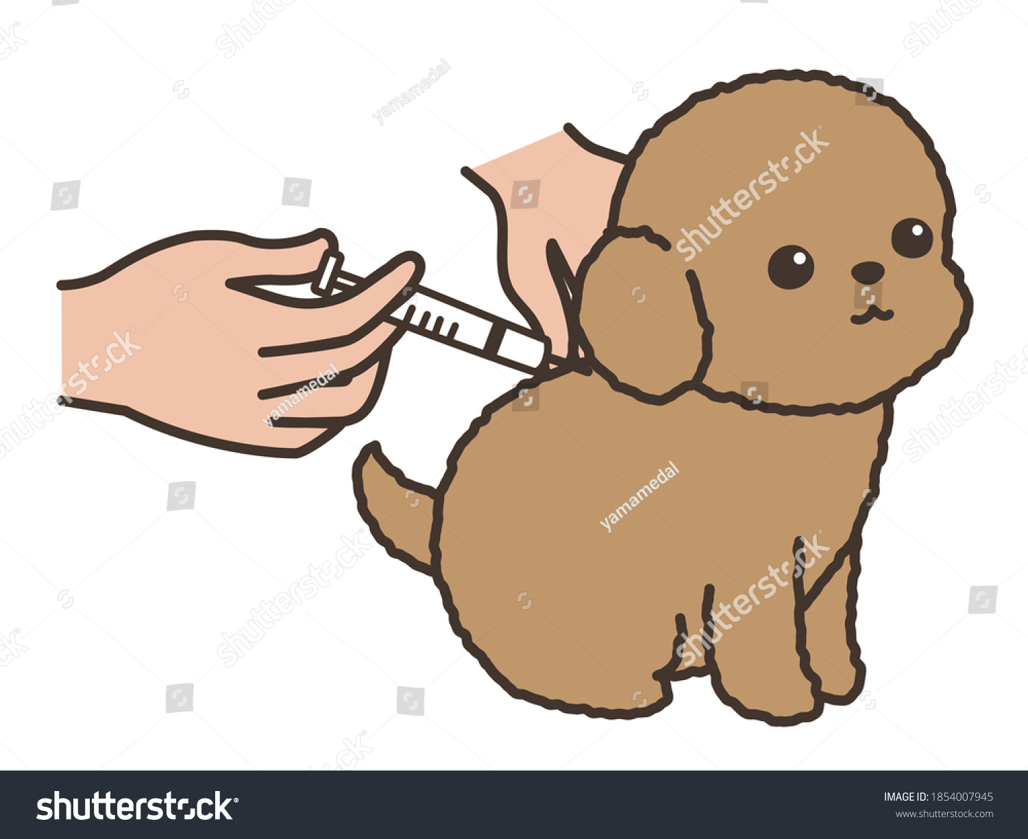 2,336 Dog injection Stock Illustrations, Images & Vectors | Shutterstock