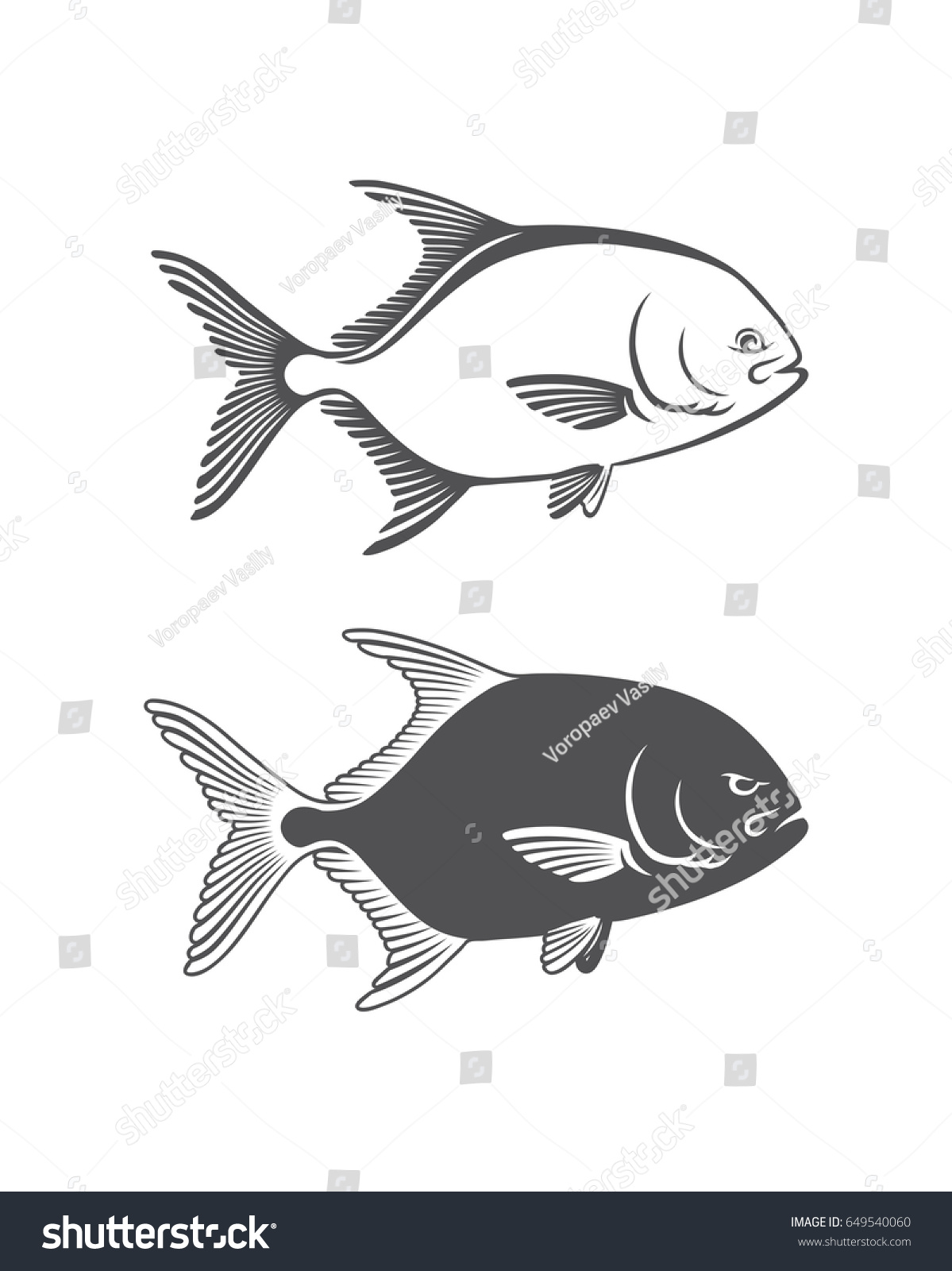 130 imágenes de Caranx ignobilis - Imágenes, fotos y vectores de stock ... 130 imágenes de Caranx ignobilis - Imágenes, fotos y vectores de stock ...