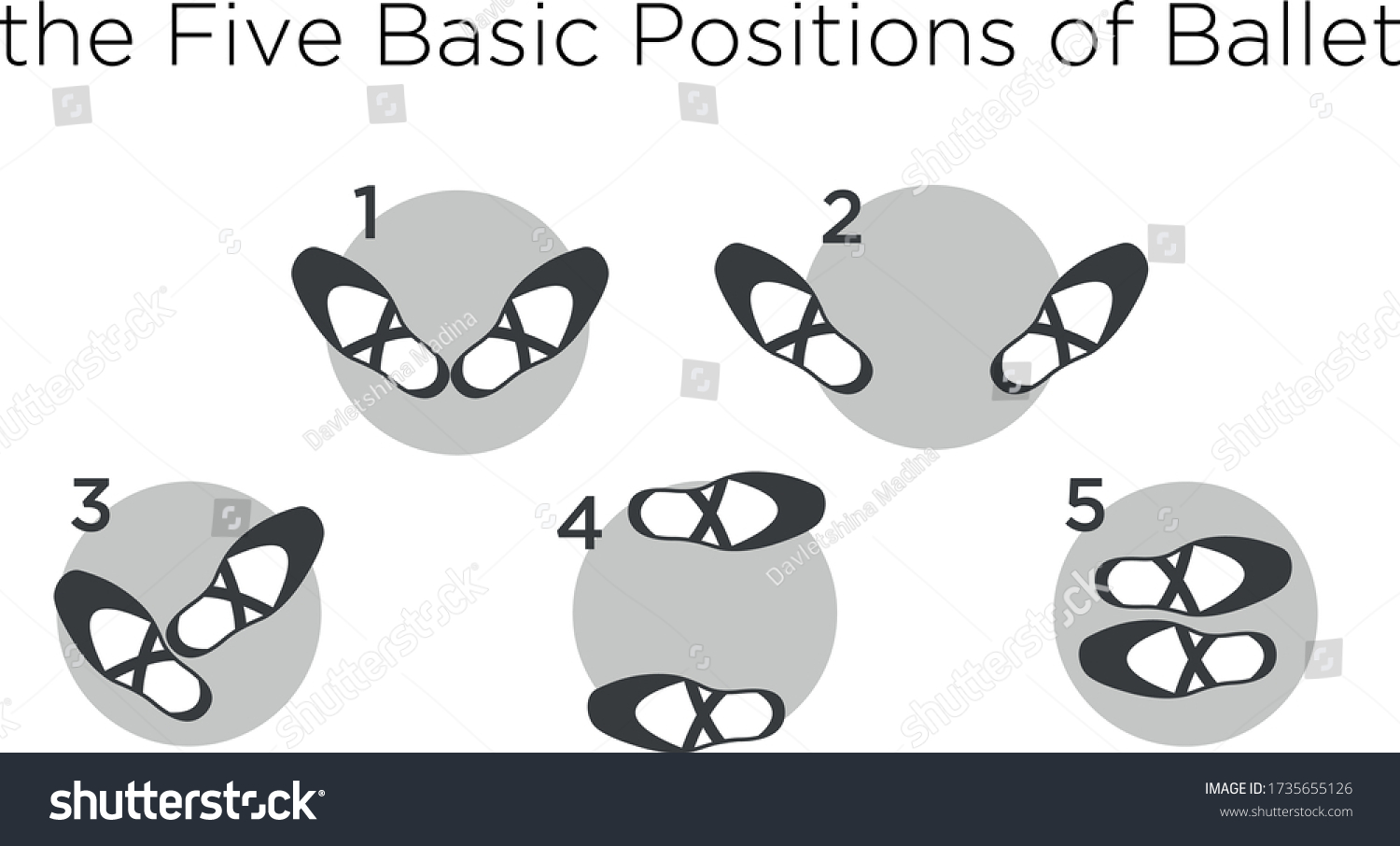 Five Basic Positions Ballet Multicolor Vector Stock Vector (Royalty ...
