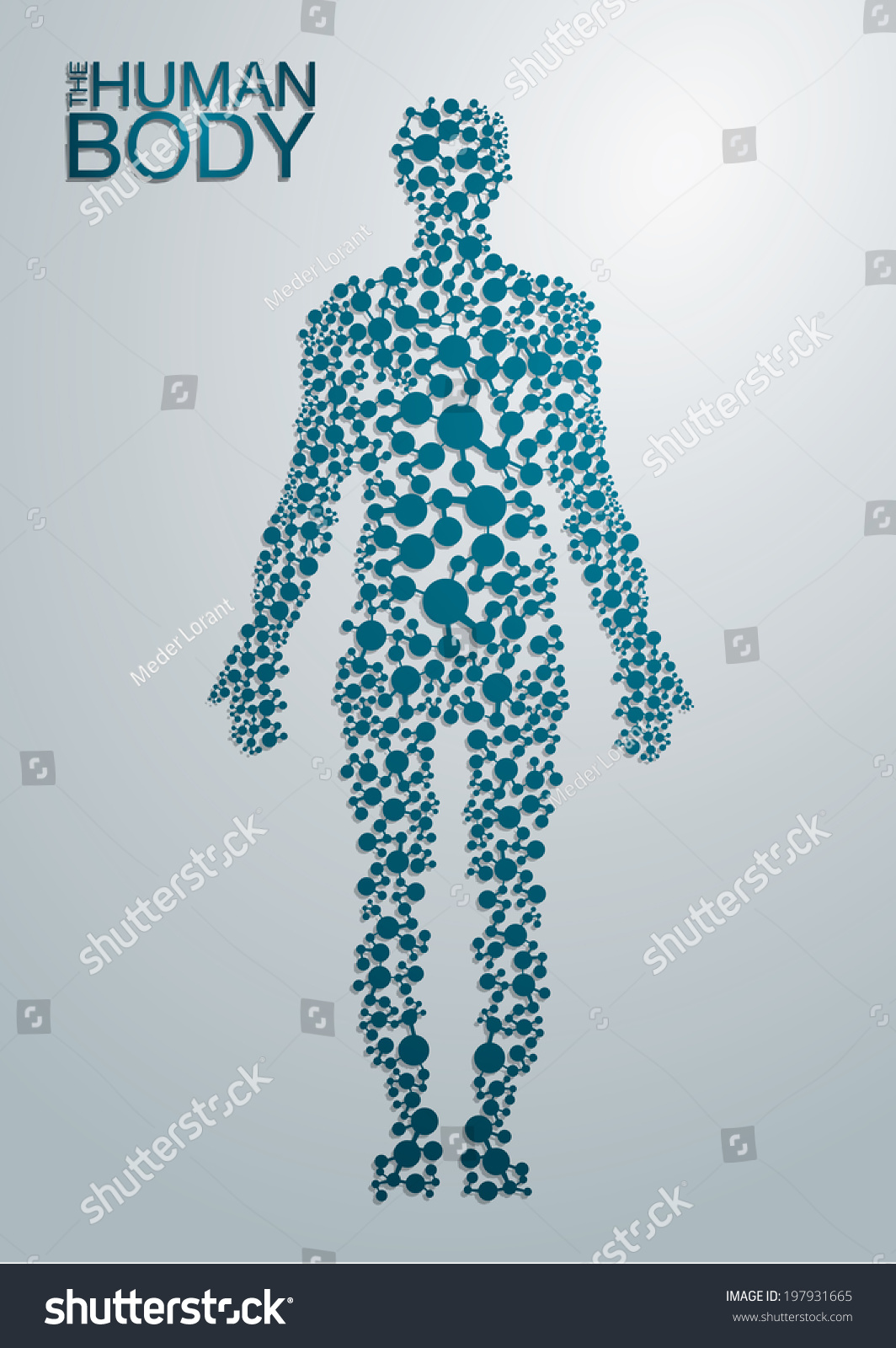 Human Body Concept Editable Vector Format: Vector có sẵn (miễn phí bản ...