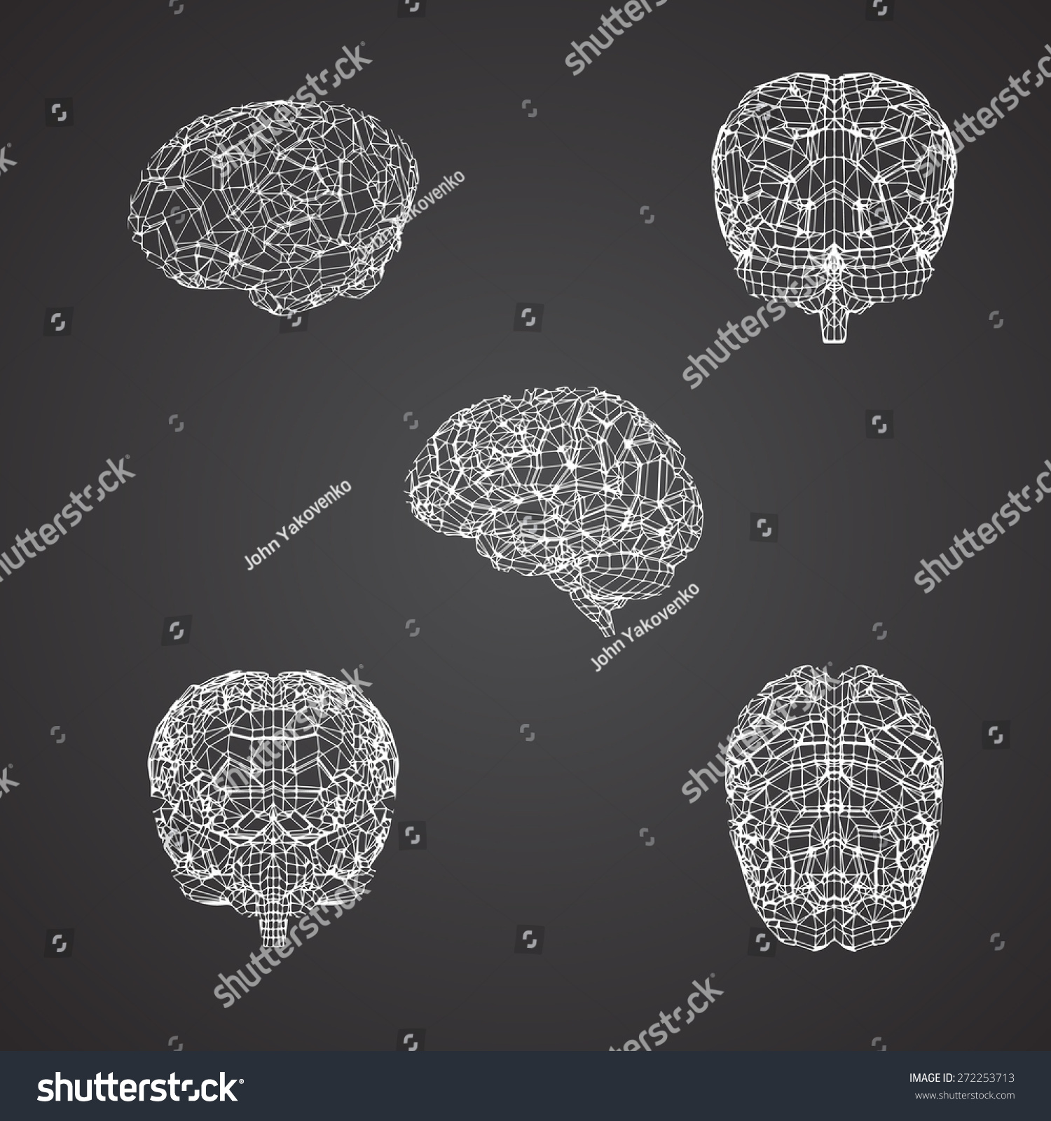 Human Brain Different Angles Threedimensional White: เวกเตอร์สต็อก ...