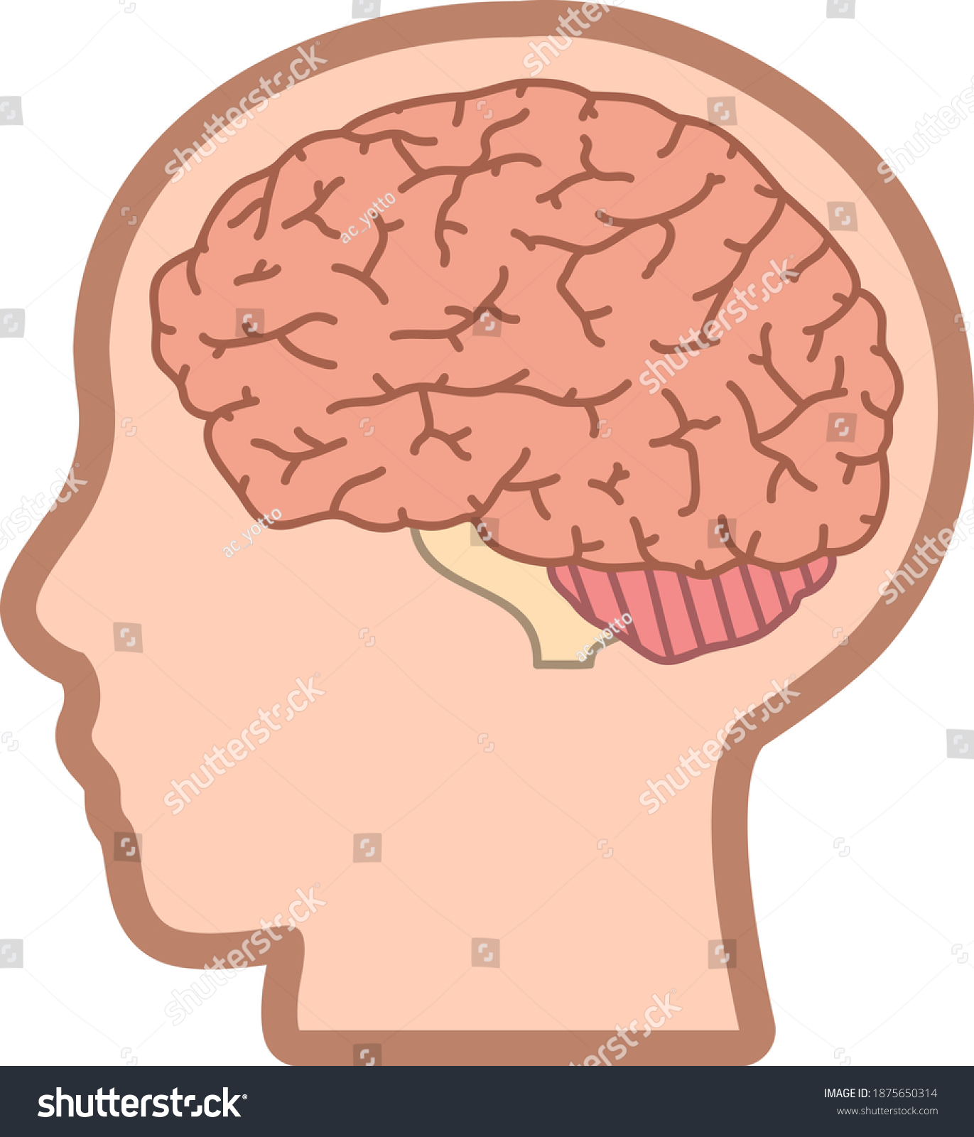 Human Brain Isolated Vector Illustration Stock Vector (Royalty Free ...
