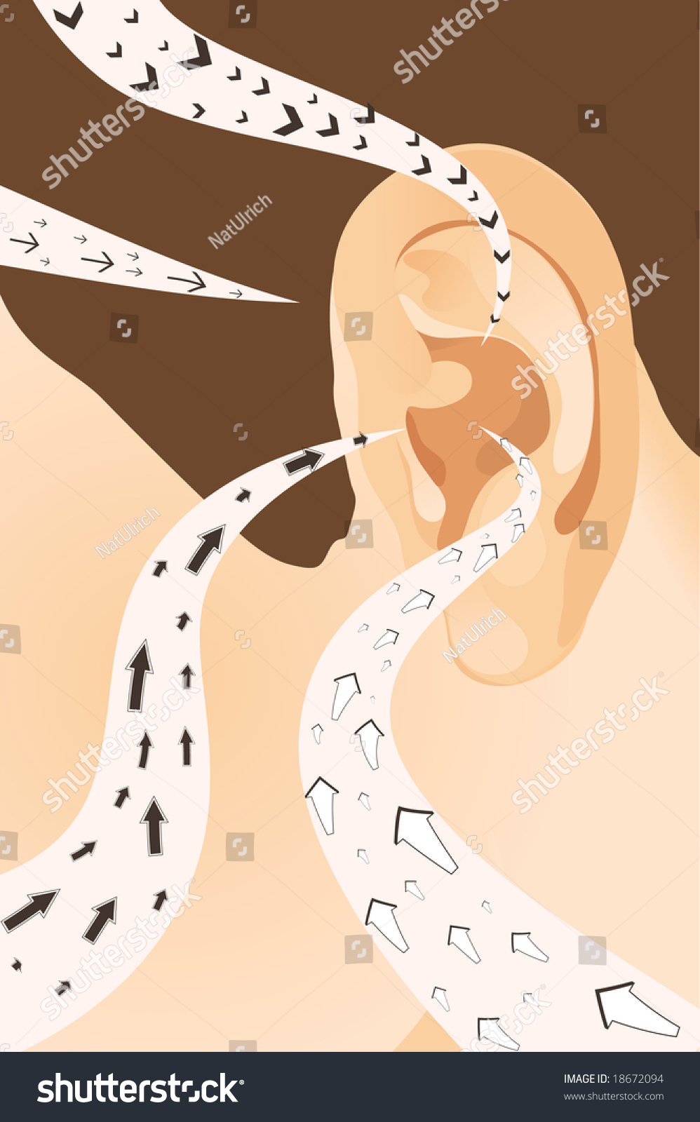 Human Ear Vector Illustration Stock Vector (Royalty Free) 18672094 ...