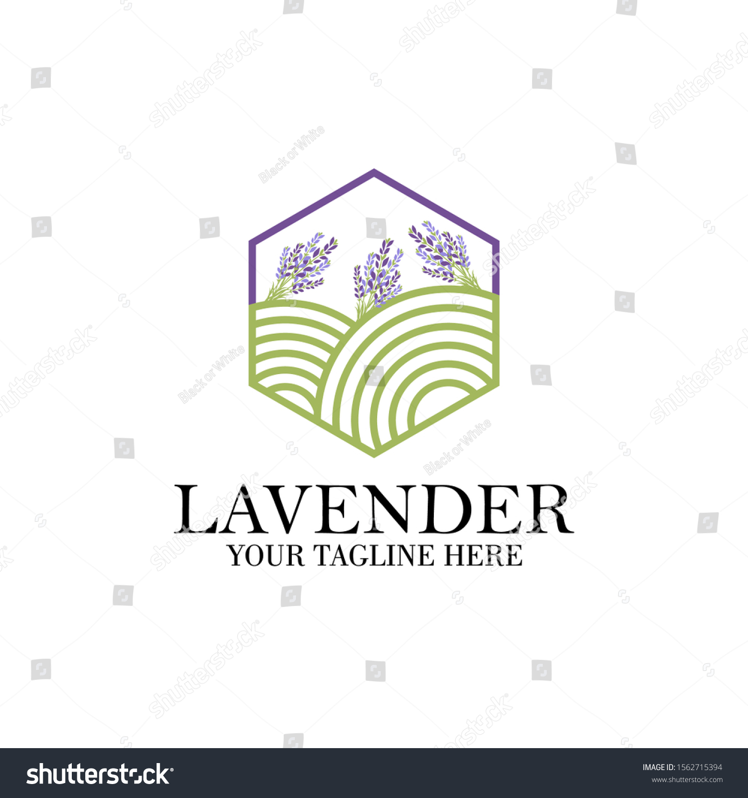 Lavender Flat Logo Design Vector Template Stock Vector (Royalty Free ...