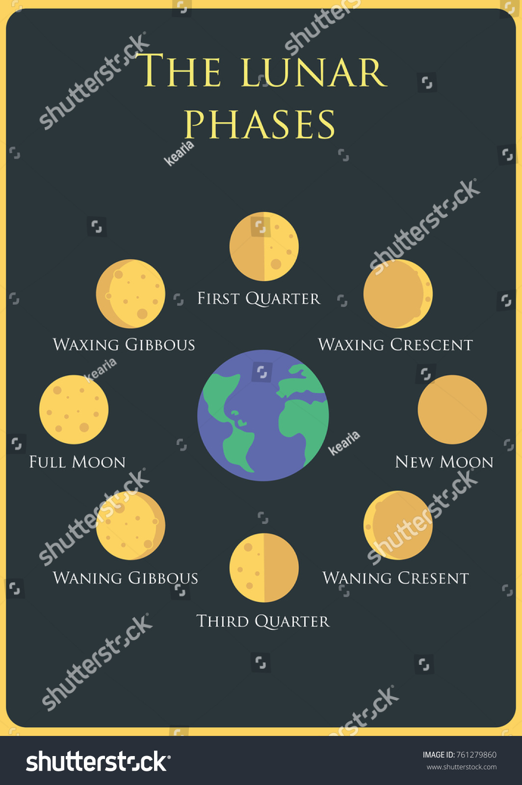 Lunar Phases Vector Illustration Stock Vector (Royalty Free) 761279860 ...
