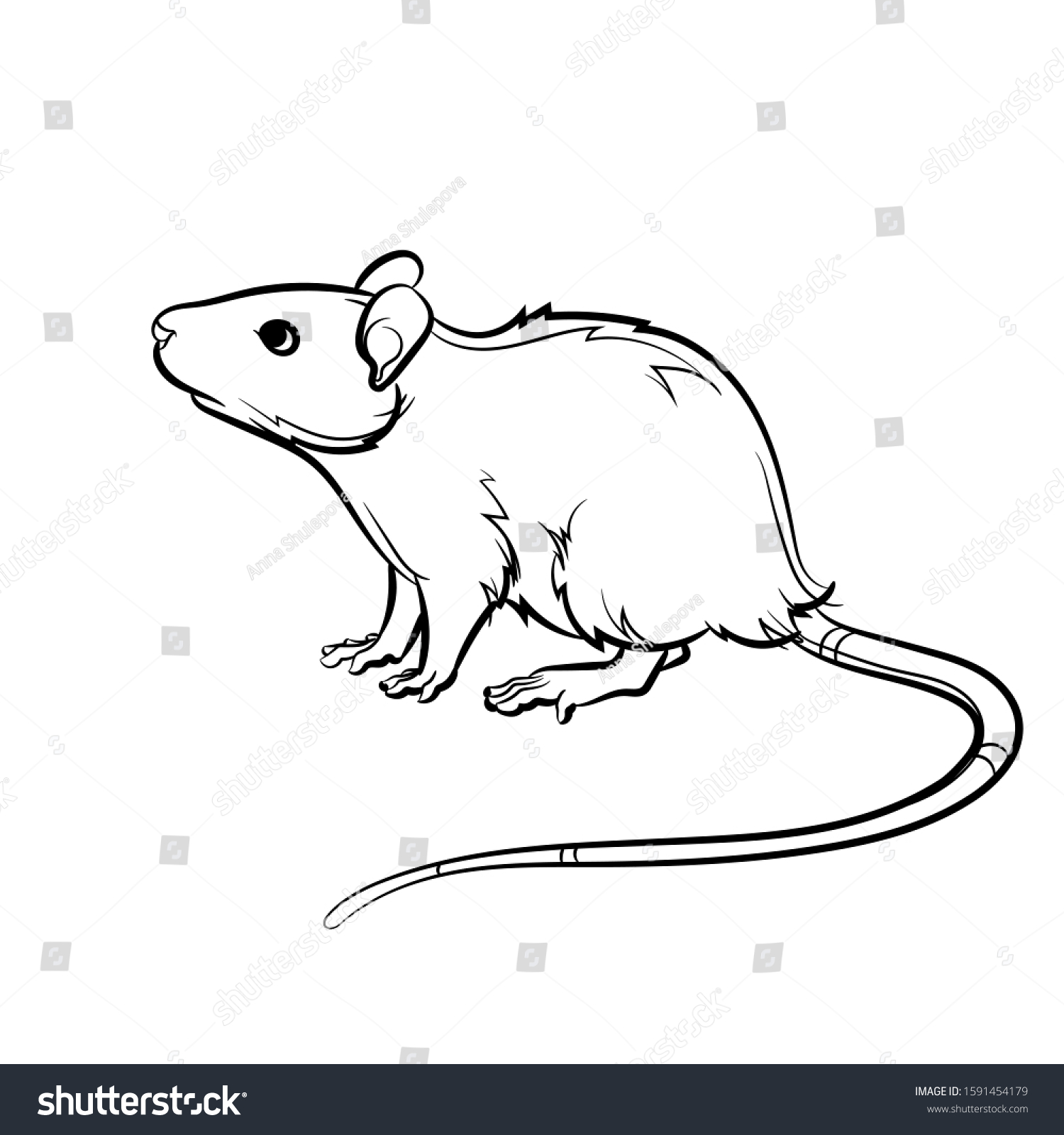 Mouse Line Drawing Vector Illustration: เวกเตอร์สต็อก (ปลอดค่าลิขสิทธิ์ ...