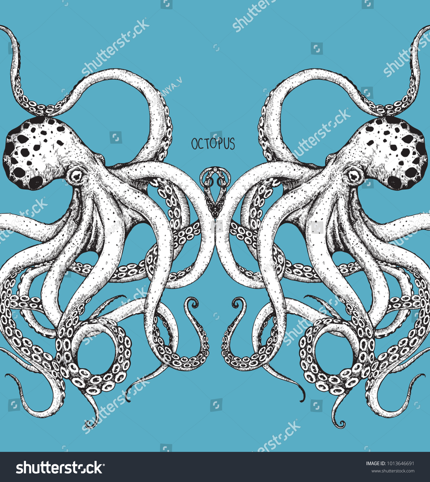 Octopus Hand Drawing On Background Stock Vector (Royalty Free ...