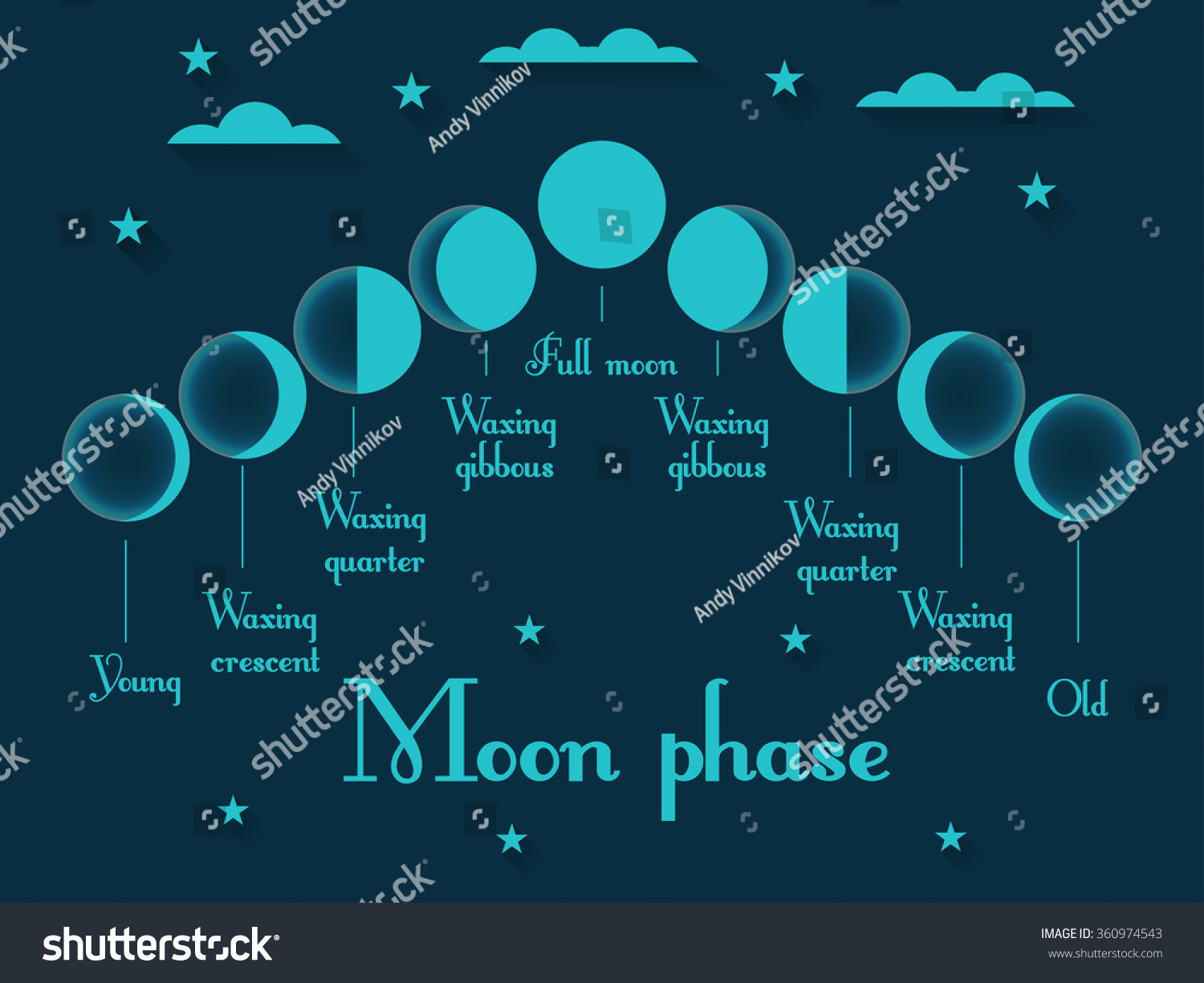 Phases Moon Vector Illustration Stock Vector (Royalty Free) 360974543 Phases Moon Vector Illustration Stock Vector (Royalty Free) 360974543