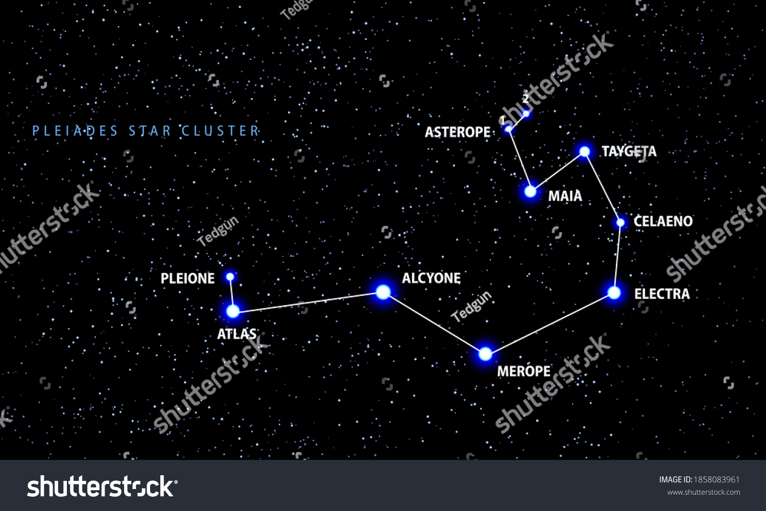 Plejade Images, Stock Photos & Vectors | Shutterstock
